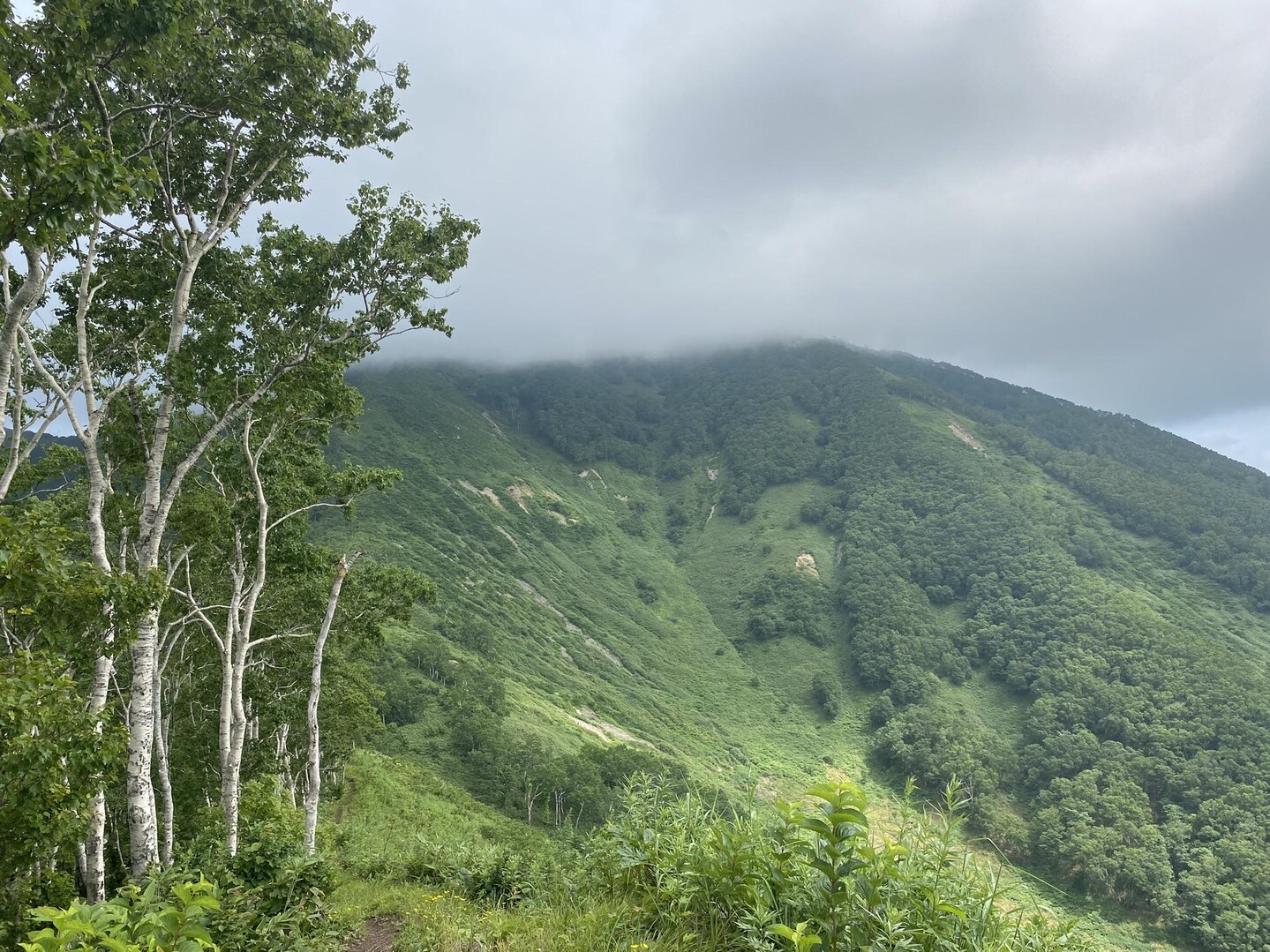 尻別岳・橇負山・軍人山 / konikoniさんの尻別岳の活動データ | YAMAP / ヤマップ