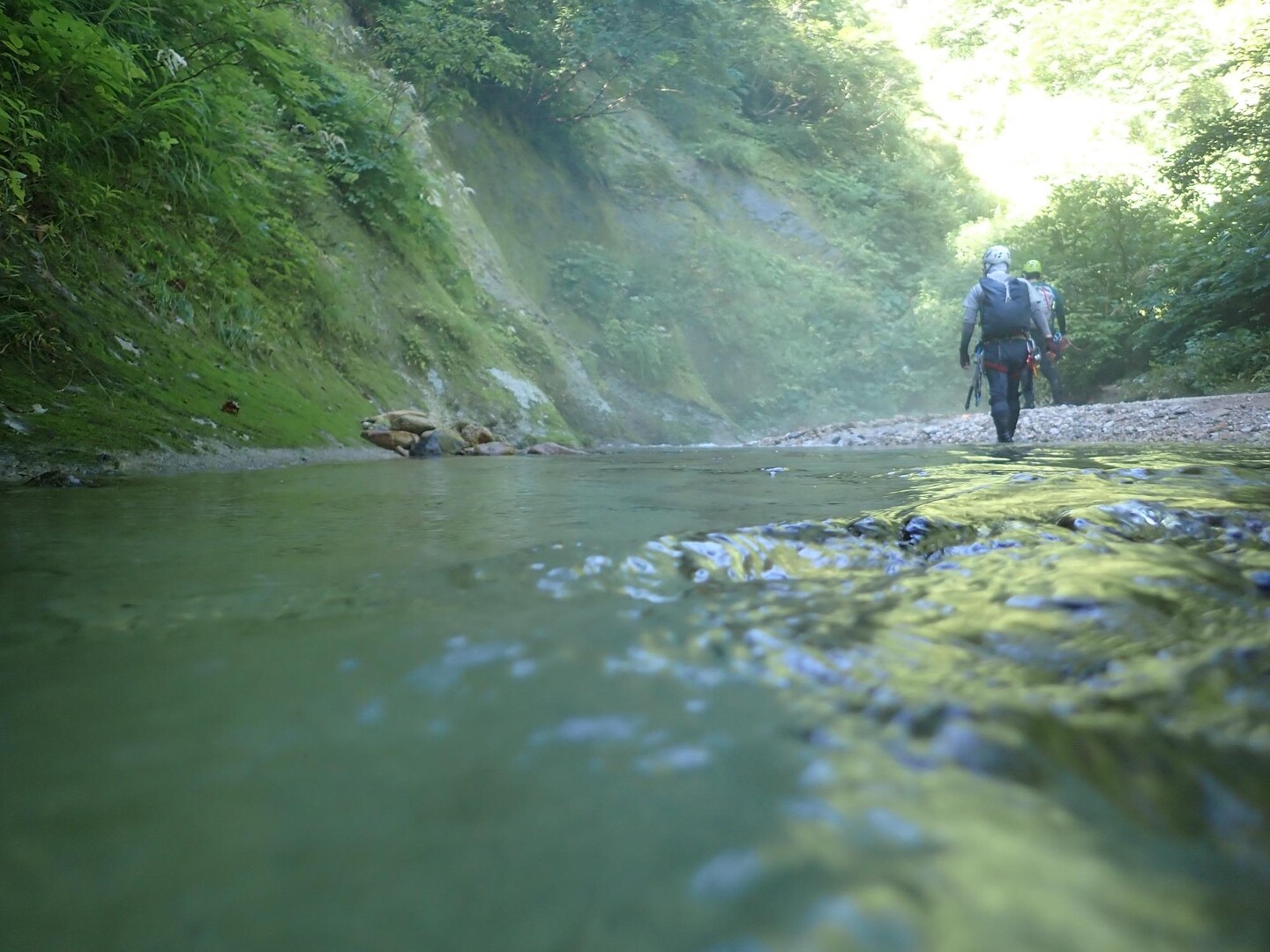 保呂内沢西ノ股沢・山猫森🐈‍⬛ / shanneiさんの水沢森の活動データ | YAMAP / ヤマップ
