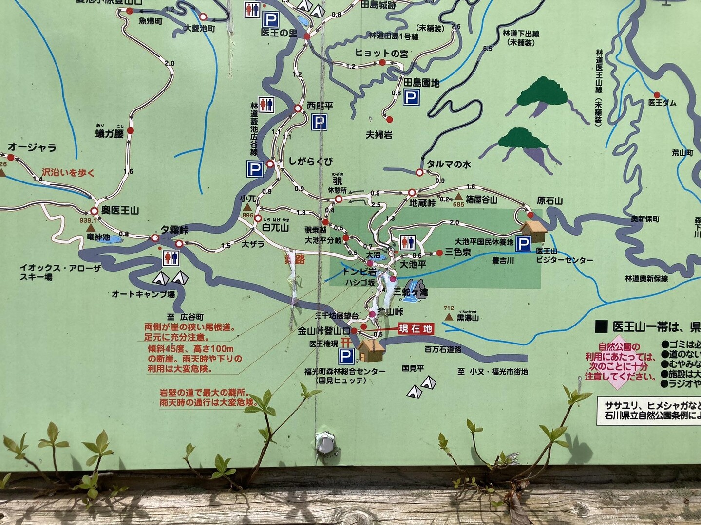 医王山 鳶岩まで / hase_3さんのウォーキングの活動データ | YAMAP / ヤマップ