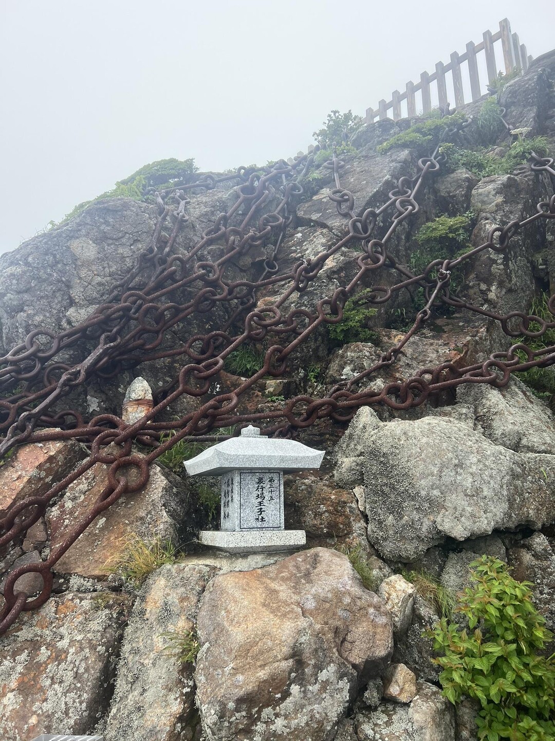 石鎚山・剣山・前社ヶ森 / eriさんの石鎚山・堂ヶ森・二ノ森の活動データ | YAMAP / ヤマップ