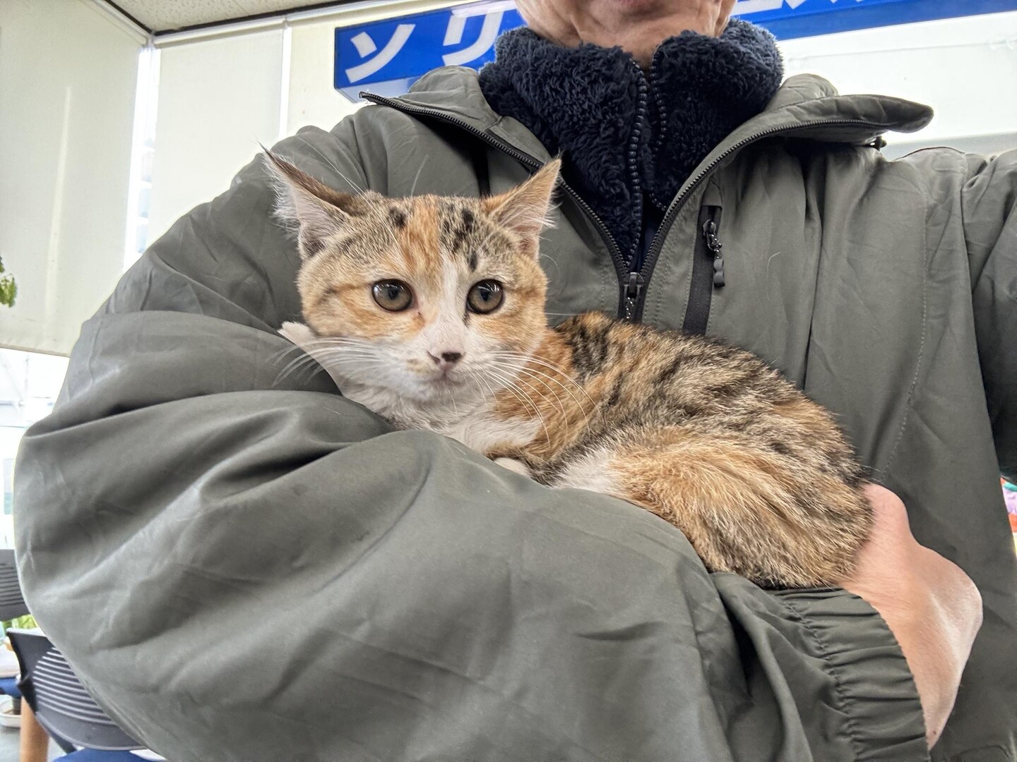 飯野山で納め / muddy329さんの飯野山（讃岐富士）の活動データ | YAMAP / ヤマップ