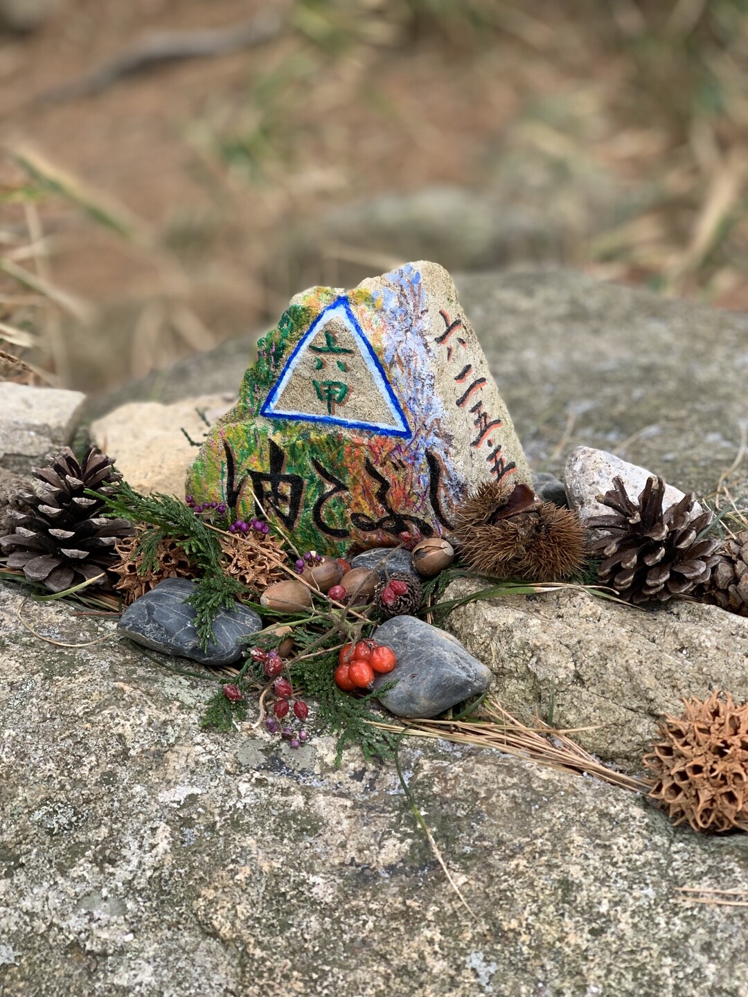 these days No,101 「... / Wis⁂さんのモーメント | YAMAP / ヤマップ