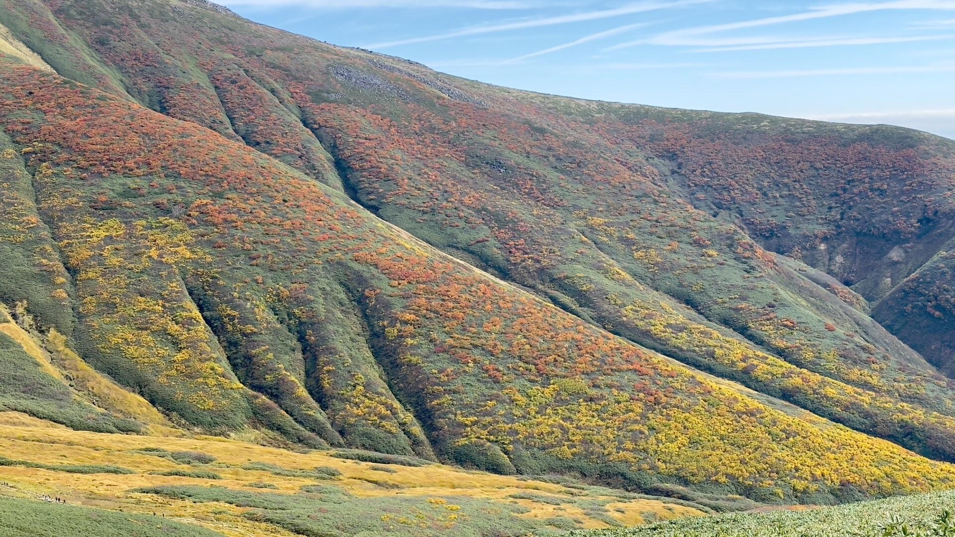 月山・柴灯森・姥ヶ岳 ﾓﾝｻﾝ🦛 ︎ / nepukoさんの月山の活動データ | YAMAP / ヤマップ
