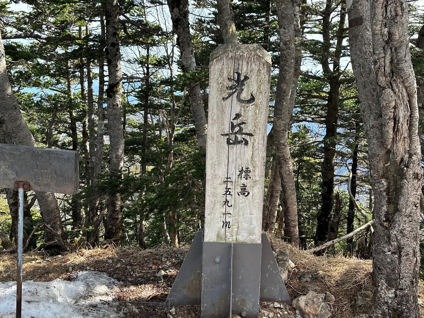 こんなはずじゃ・・・イザルガ岳・光岳 / eigoさんの聖岳・大沢岳・光岳の活動データ | YAMAP / ヤマップ