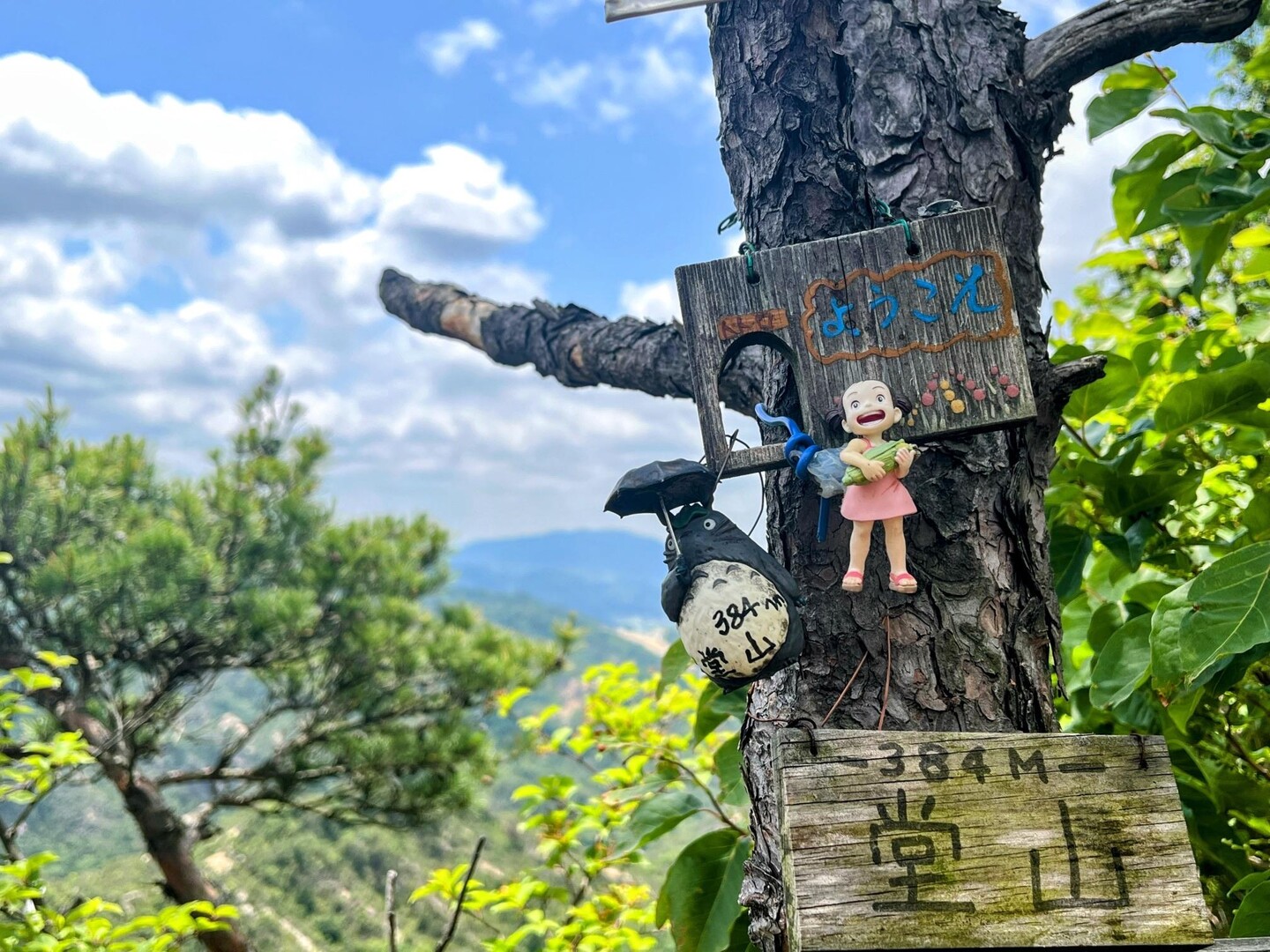 久々のお山⛰堂山 / yuriさんの湖南アルプス（太神山・堂山）の活動データ | YAMAP / ヤマップ