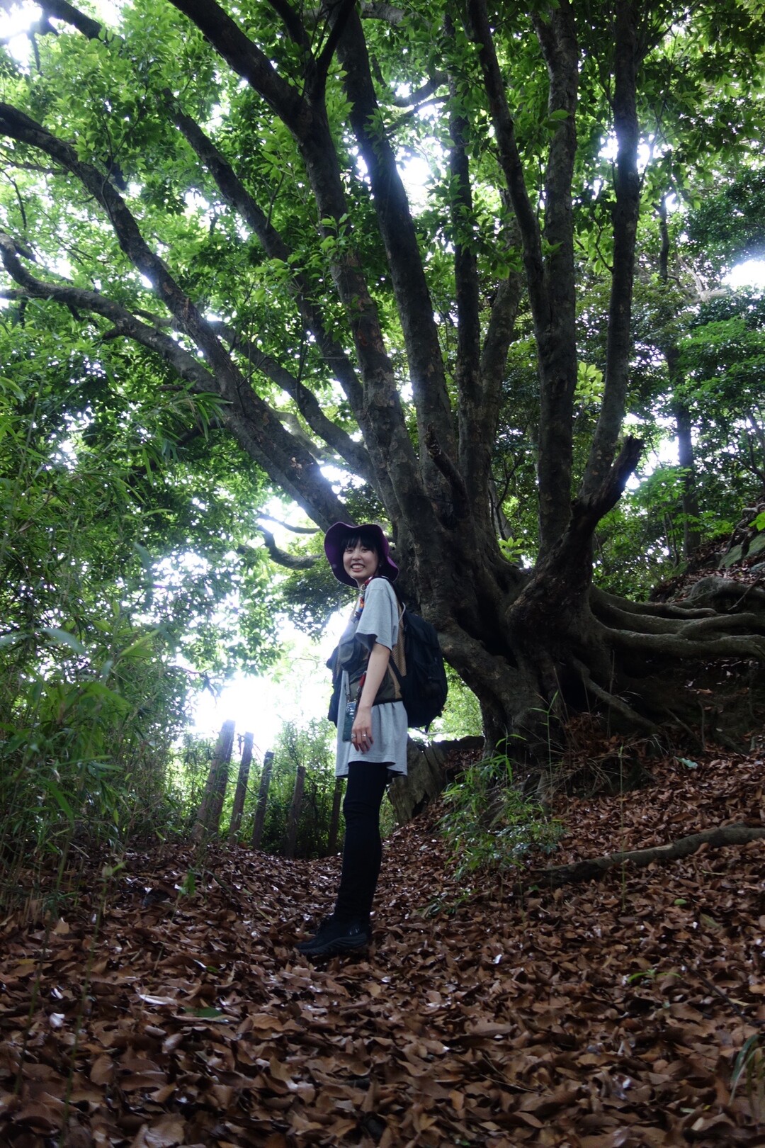 YAMAP活用できずでしたが！ 6/17... / かわいさんのモーメント | YAMAP / ヤマップ