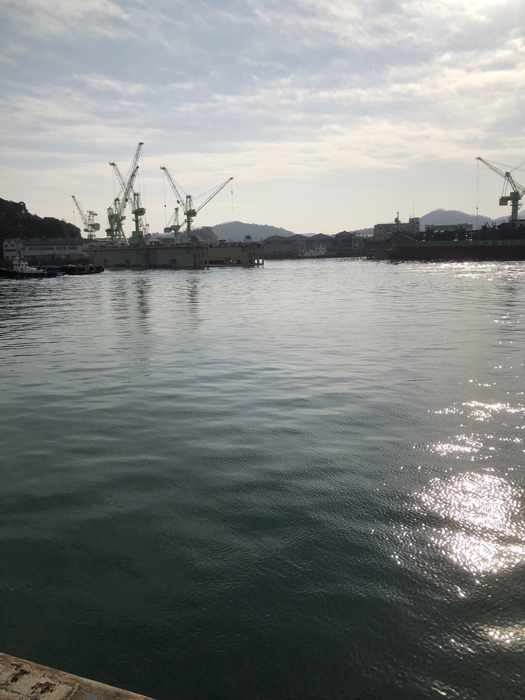 12月24日尾道水道の朝 この日の夕... / SCORE さんのモーメント | YAMAP / ヤマップ