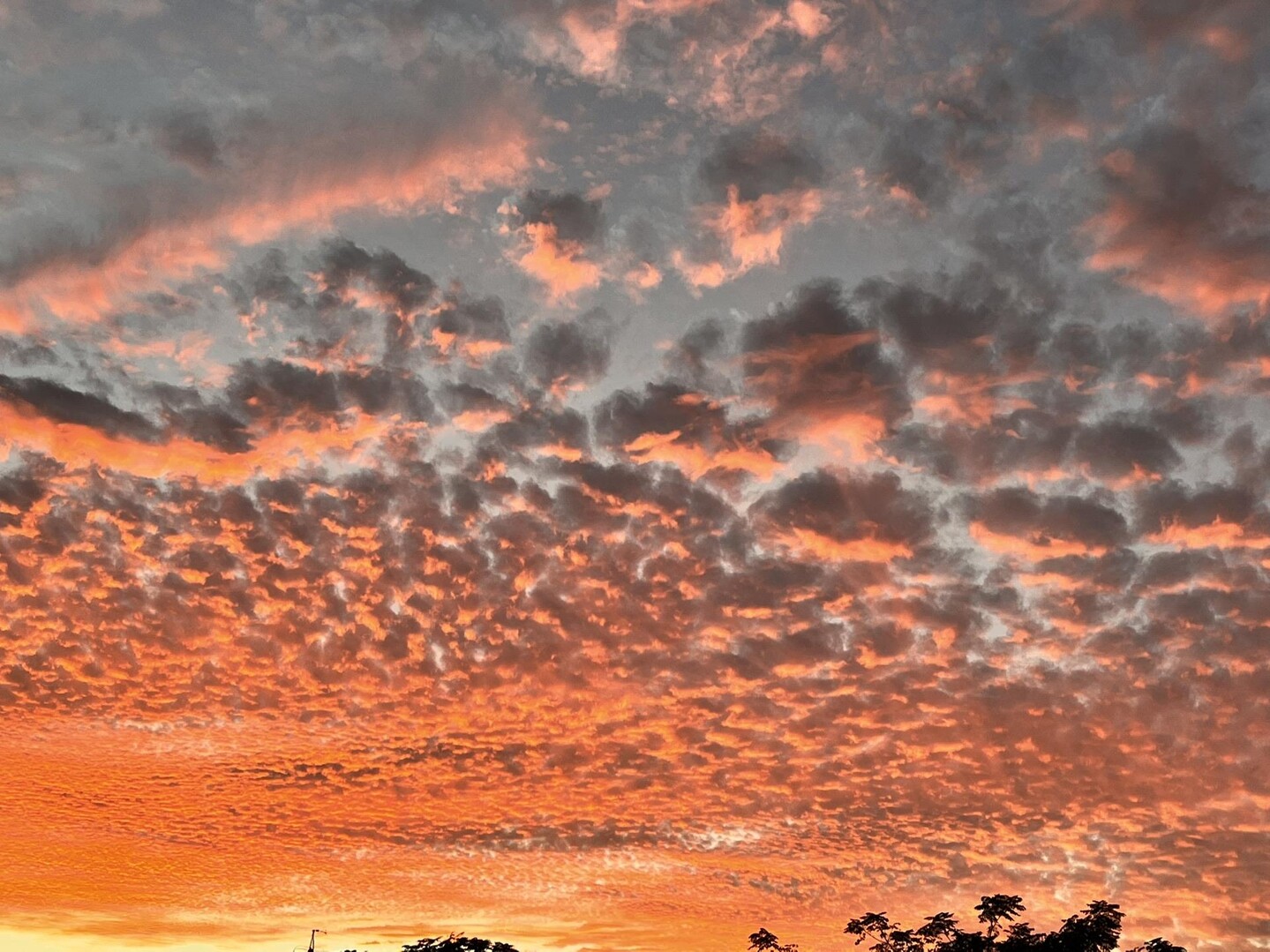 きれいな空 / junnnnさんのモーメント | YAMAP / ヤマップ