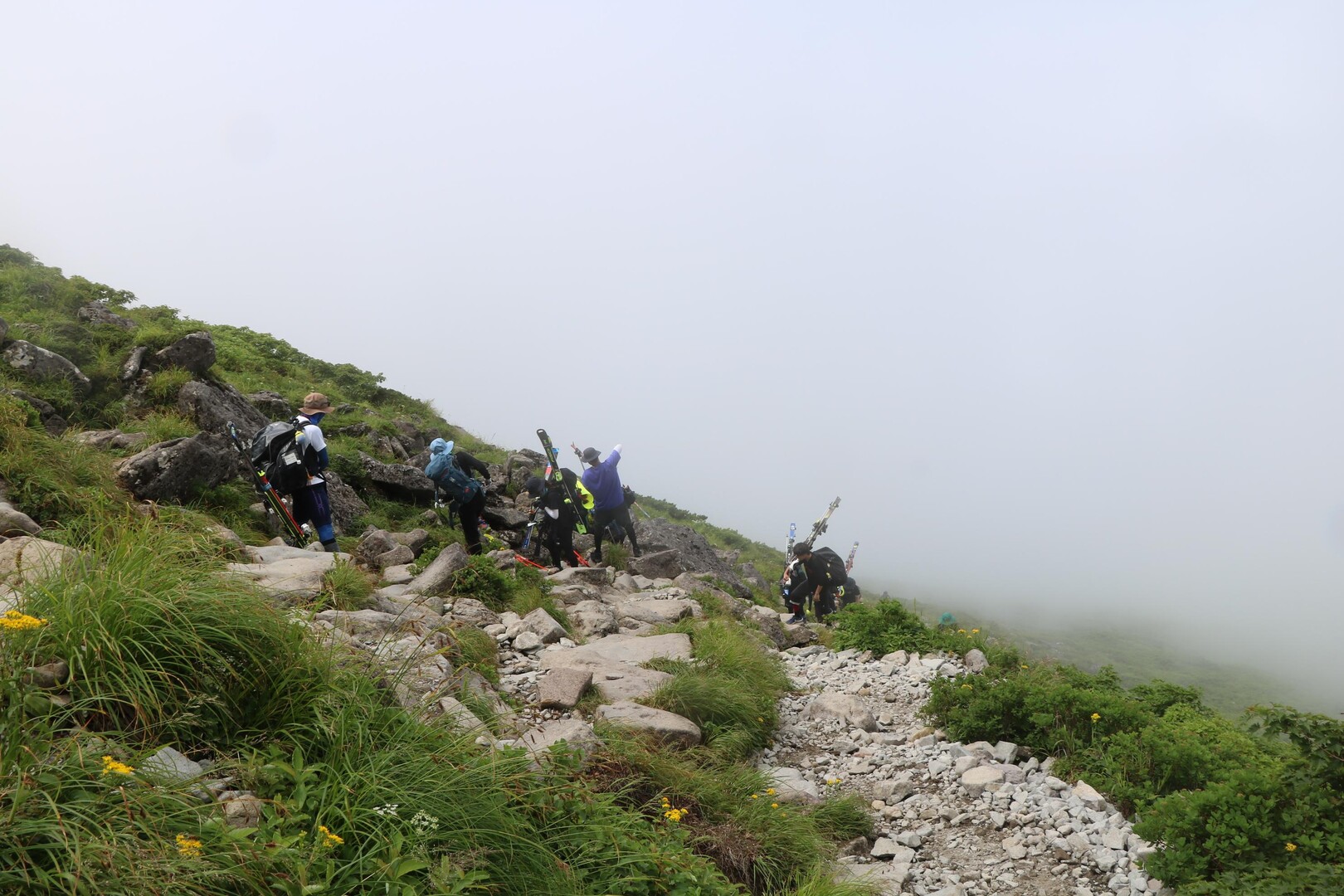 月山は初夏の花々と秋の気配とスキーが一緒 / poppoさんの月山の活動データ | YAMAP / ヤマップ