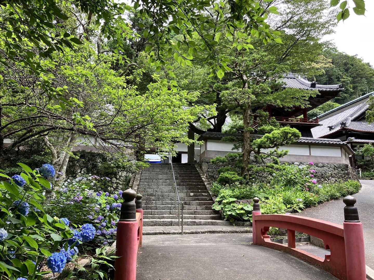 焼津市高草山麓の林叟院。 仕事ついでに紫... / Rさんのモーメント | YAMAP / ヤマップ