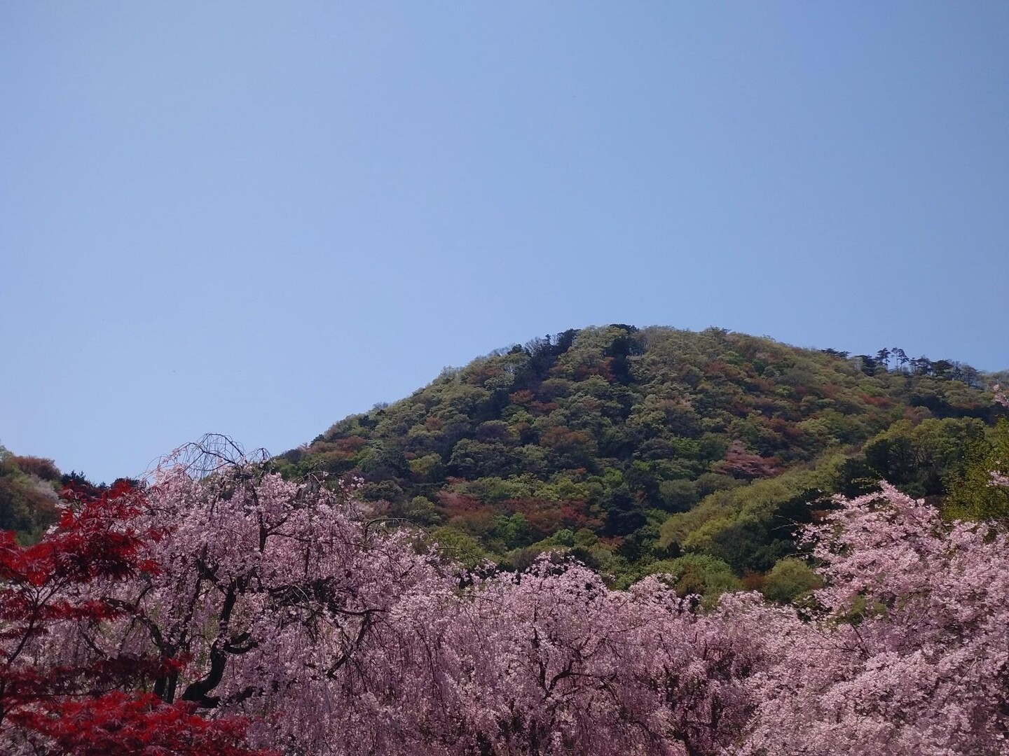 晃石山・青入山 / USSAさんの太平山・晃石山・唐沢山の活動データ | YAMAP / ヤマップ