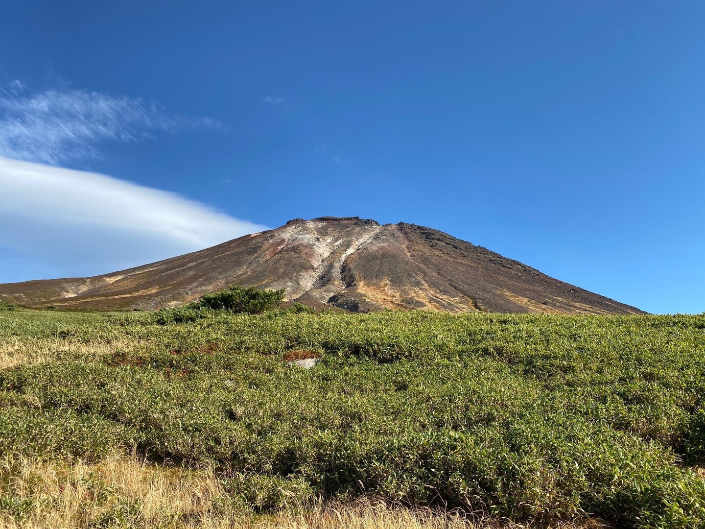 Teruさんの投稿したフィールドメモ | YAMAP / ヤマップ