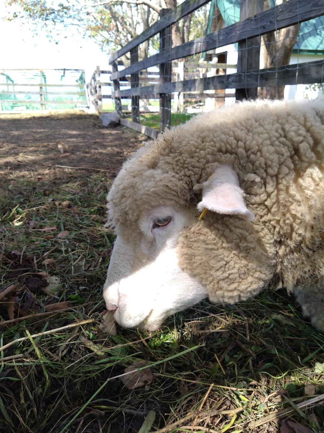 2023.10.04(水) 20:50 / しんちゃんさんのモーメント | YAMAP / ヤマップ