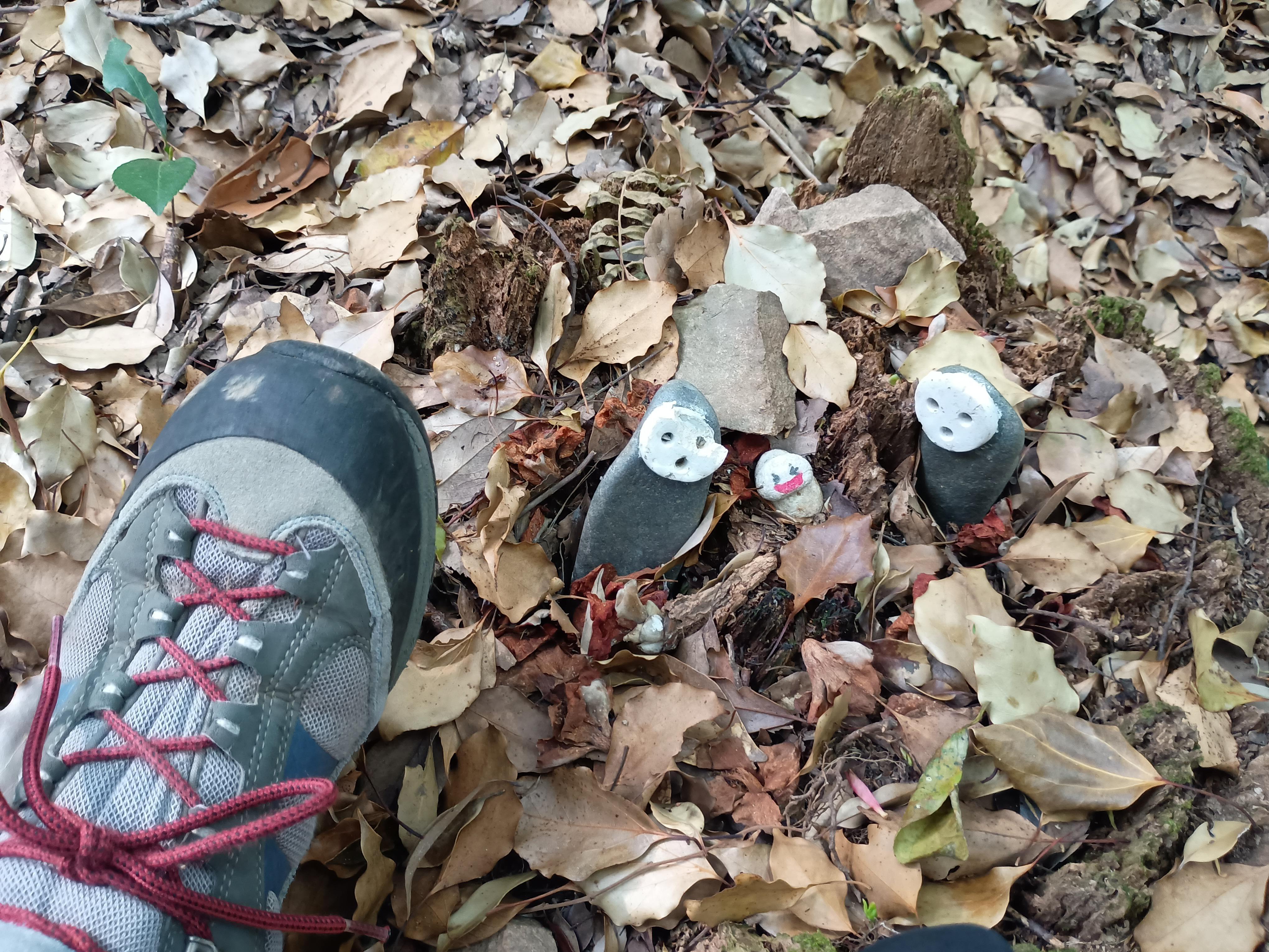 許斐山はお好みですか / ryuchanさんの許斐山の活動データ | YAMAP / ヤマップ