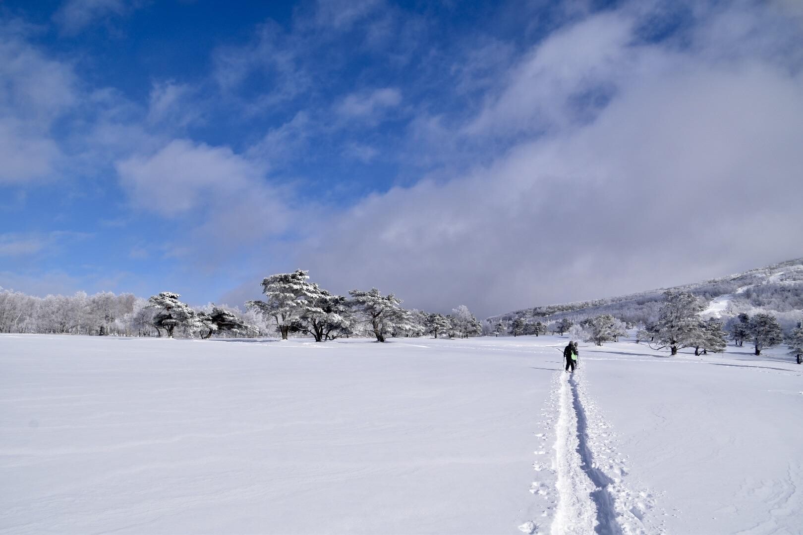 菅平高原スノーリゾート / Morryさんの菅平高原スノーリゾート の活動データ | YAMAP / ヤマップ