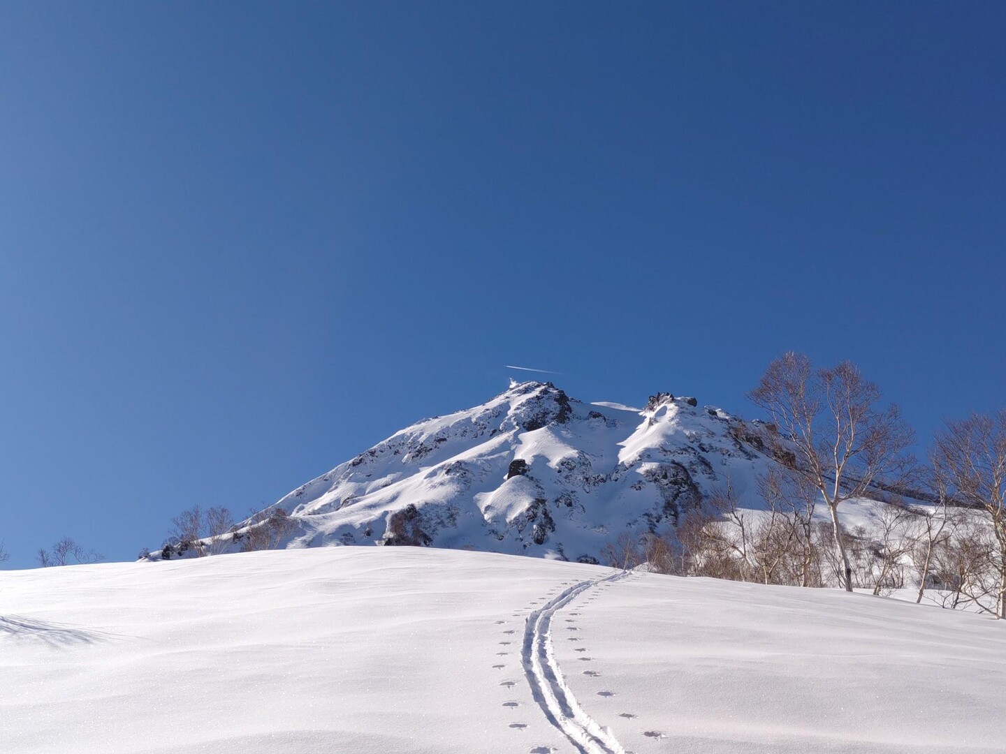 焼山北面台地・極上POW / たーちゃんさんの昼闇山・高松山・唐沢山の活動データ | YAMAP / ヤマップ