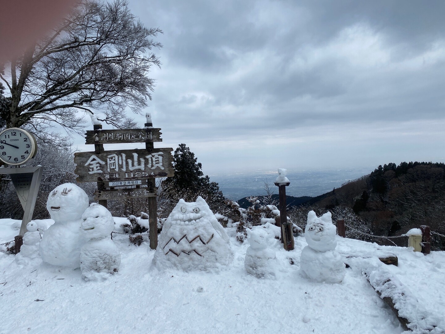 金剛山(千早本道2年ぶり / saka.hさんの金剛山・二上山・大和葛城山の活動データ | YAMAP / ヤマップ
