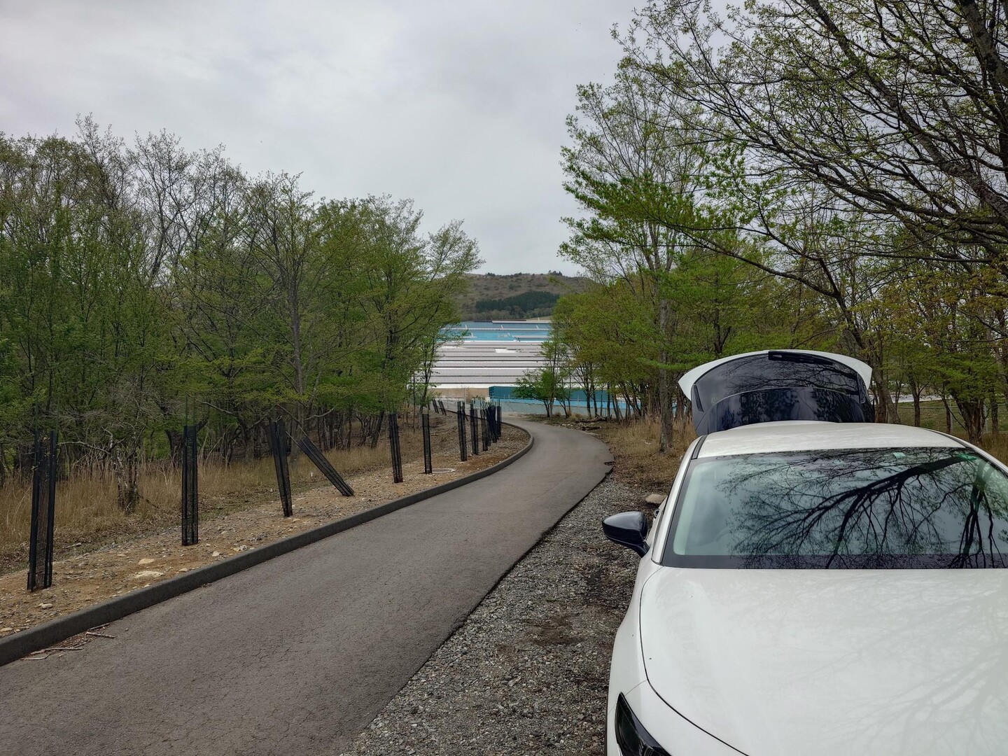 今日はここから福万山山頂からの由布岳を観... / 七蔵（ななぞう）さんのモーメント | YAMAP / ヤマップ