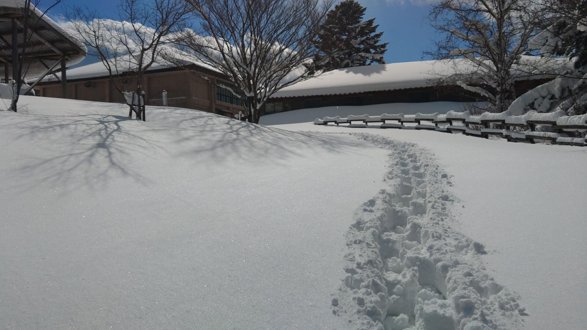 トレースの責任 / 6Kのパンチョさんの小室井山・湯来冠山の活動データ | YAMAP / ヤマップ