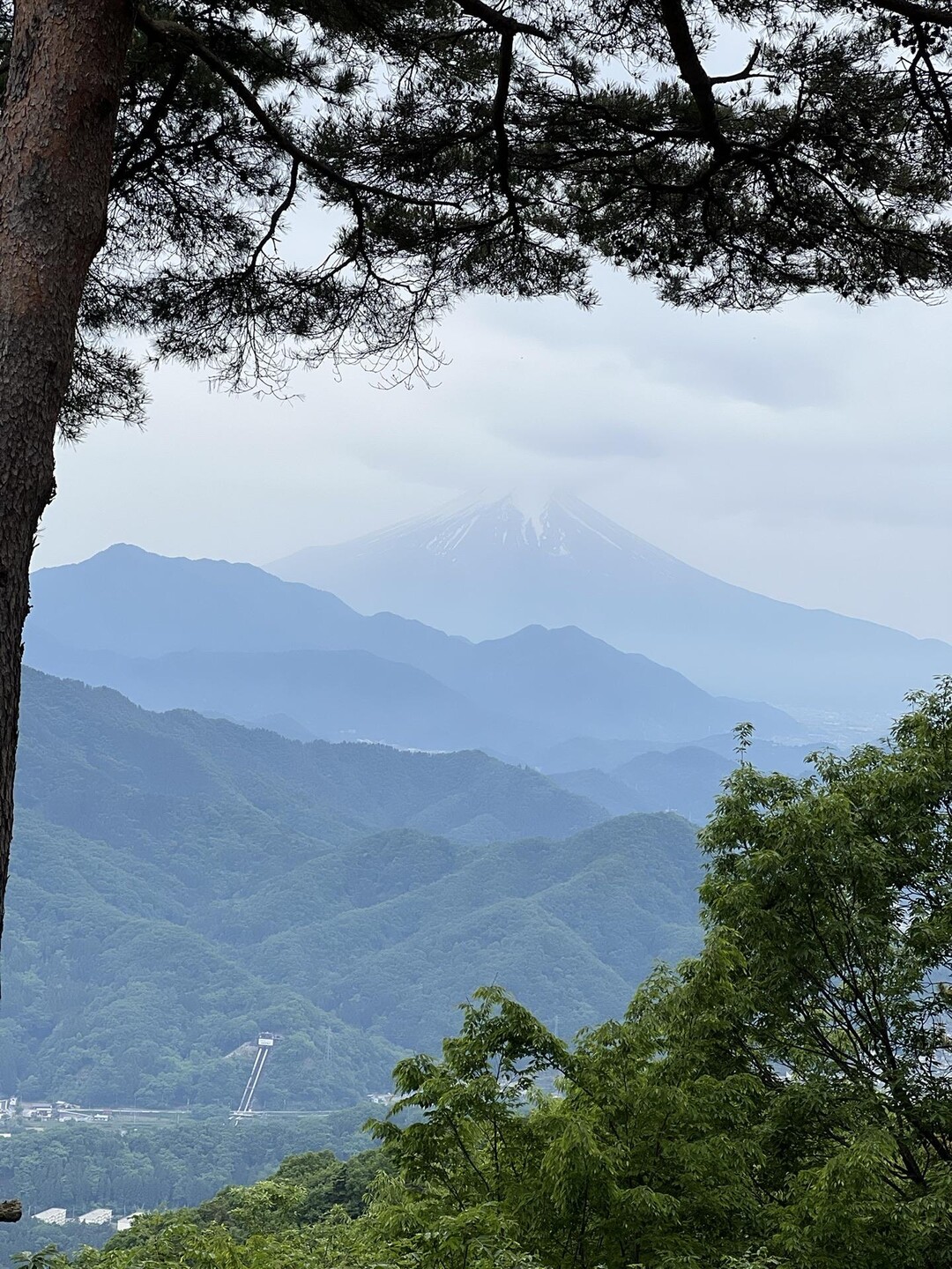 秀麗富嶽十二景 百蔵山(7番) トトロに会えず（т-т） / S409さんの百蔵山・扇山・権現山の活動データ | YAMAP / ヤマップ