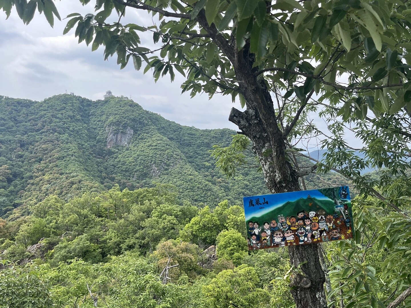 ロープワーク後気分転換に鷹巣山・金華山 / yuki yamaさんの金華山・洞山・舟伏山の活動データ | YAMAP / ヤマップ