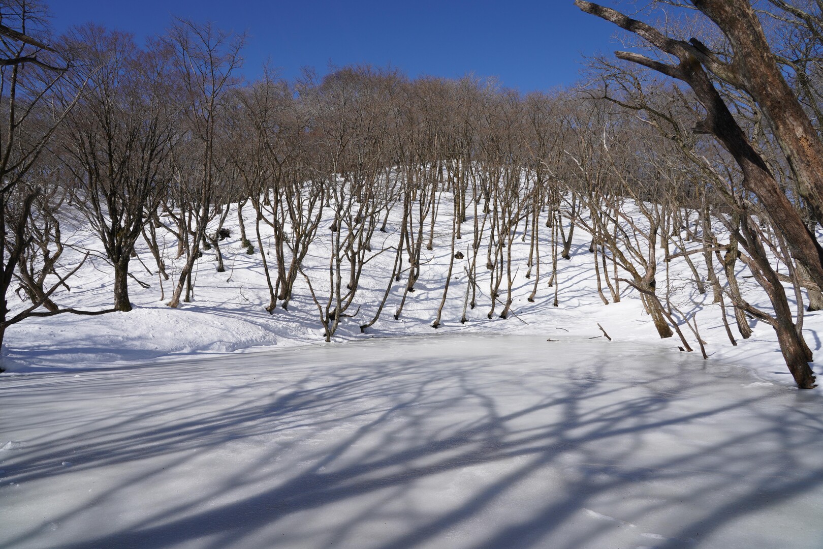 セキオノコバと静ヶ岳そして竜ヶ岳 / podoryさんの竜ヶ岳の活動データ | YAMAP / ヤマップ