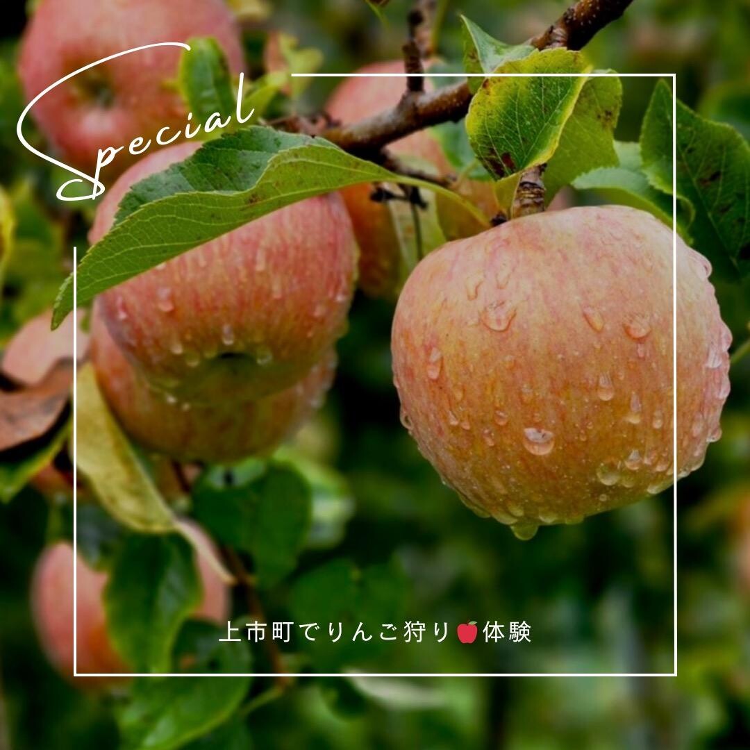 りんご狩り体験🍎 YouTube動画み... / おおかみこどもの森づくりさんのモーメント | YAMAP / ヤマップ