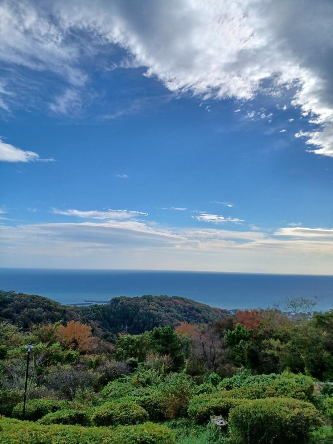 湘南平🏖️〜高麗山 / spesさんの高麗山・湘南平・鷹取山の活動データ | YAMAP / ヤマップ