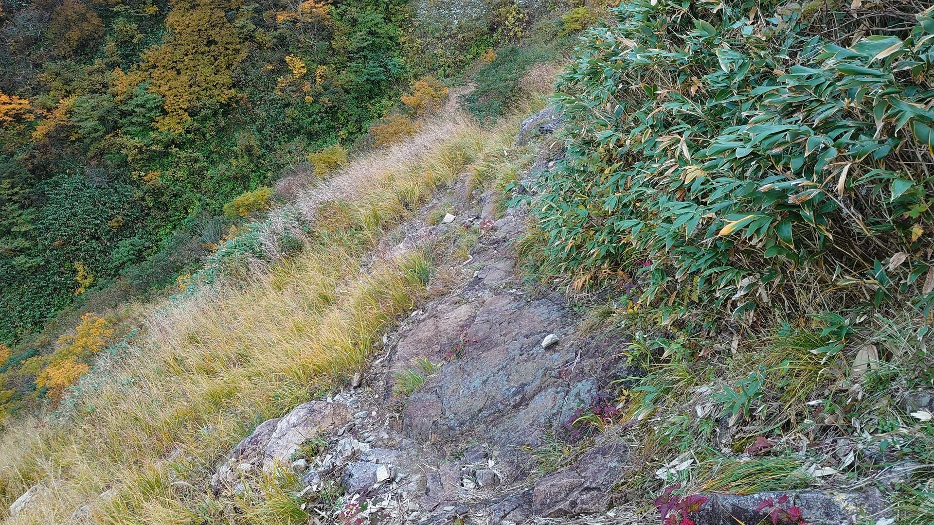 TKYMさんの投稿したフィールドメモ | YAMAP / ヤマップ