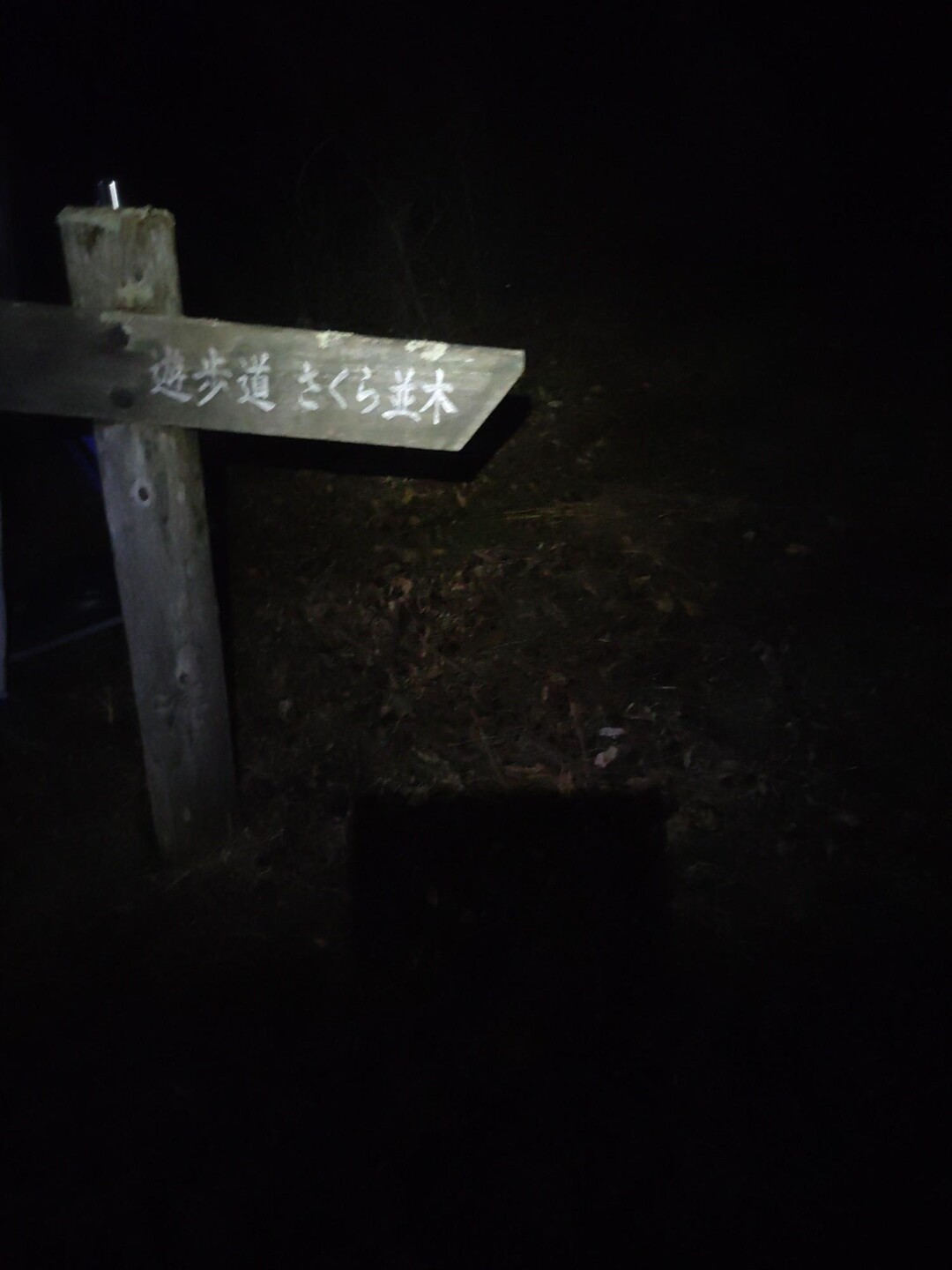 明けましておめでとうございます！ 今年も... / u-skさんのモーメント | YAMAP / ヤマップ