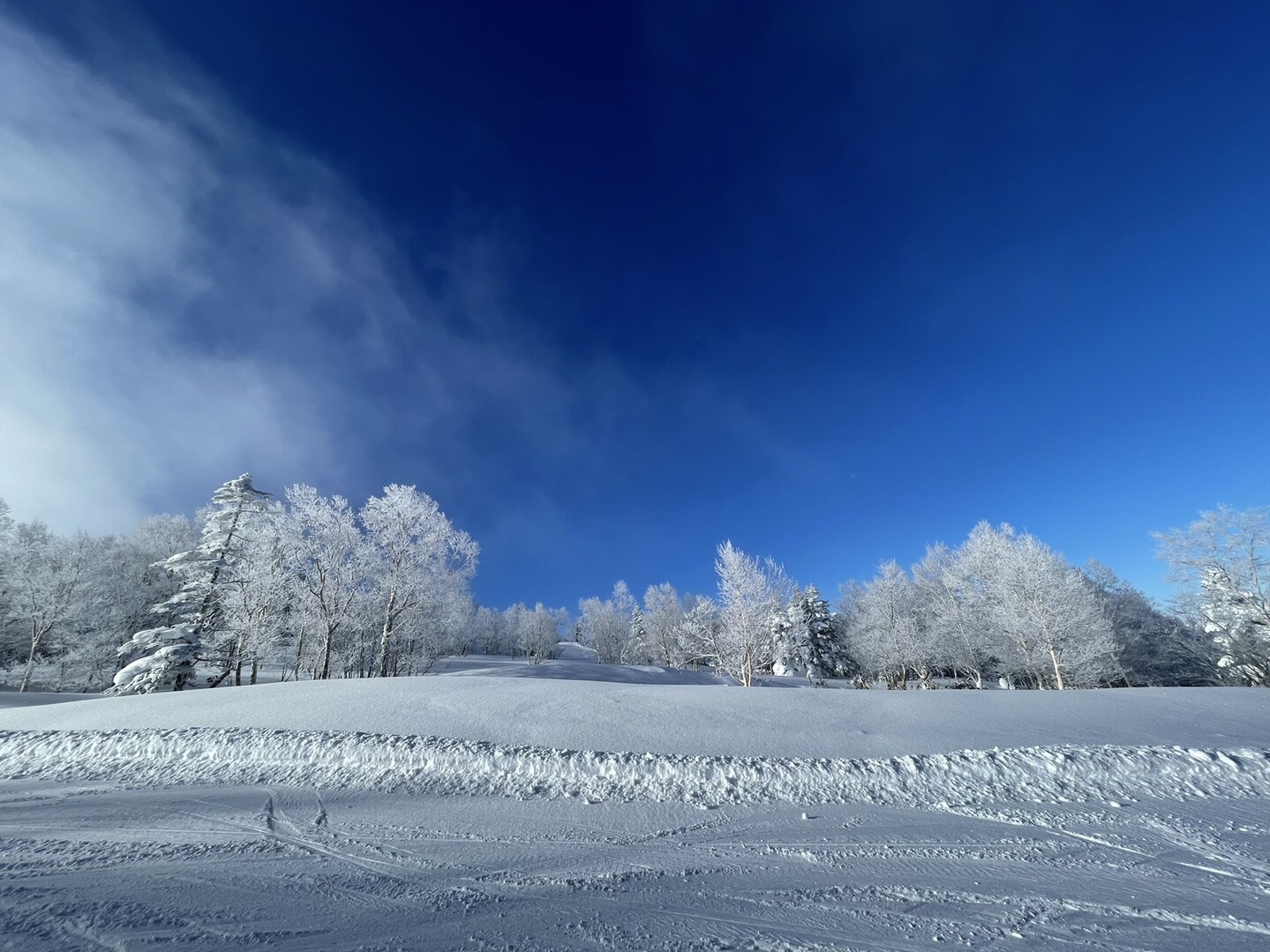 志賀高原スキー場にて 『青と白と私』 / nさんのモーメント | YAMAP / ヤマップ