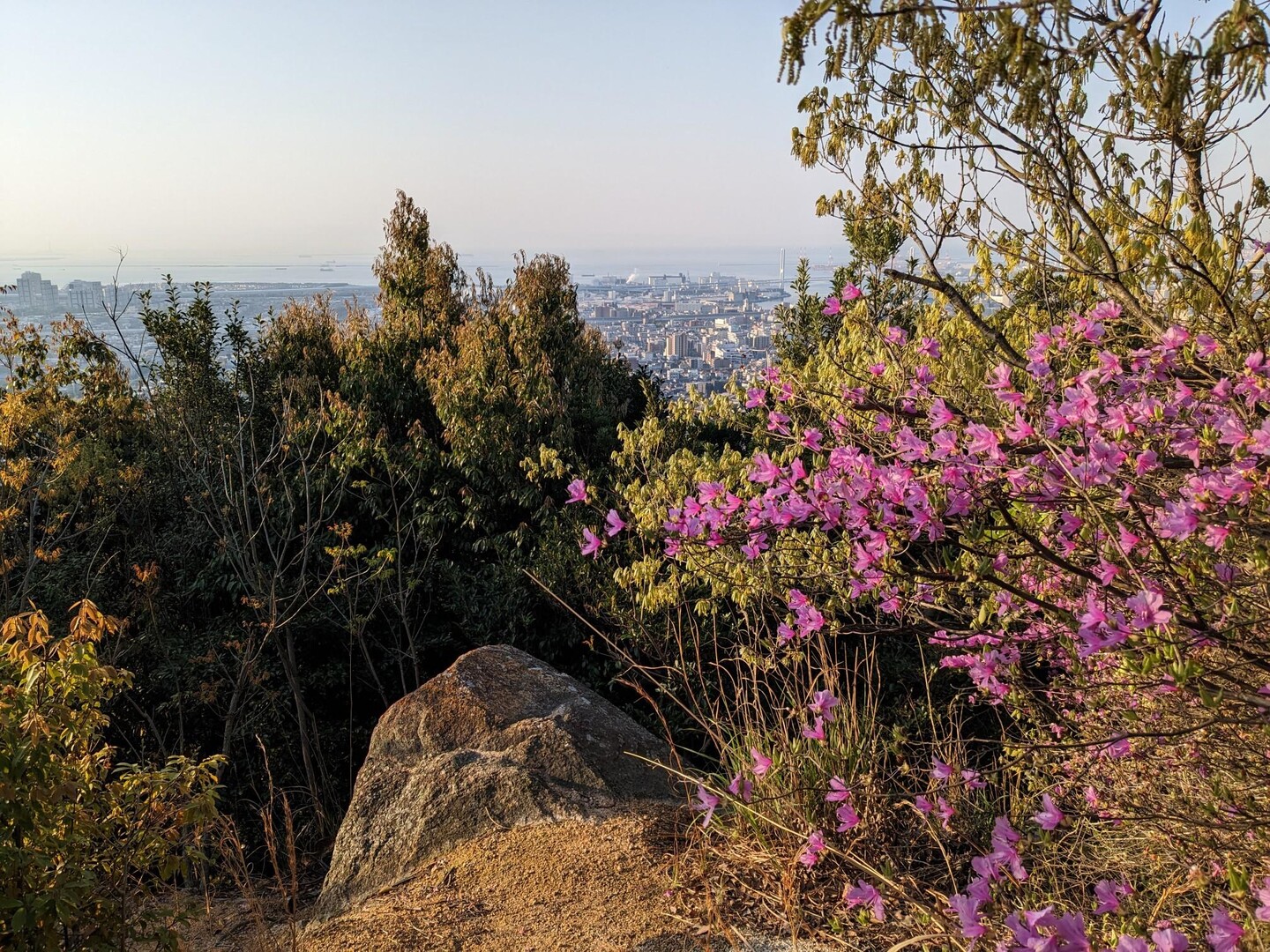 城山・鷹尾山・荒地山 / Nuruma_Uさんの六甲山・長峰山・摩耶山の活動データ | YAMAP / ヤマップ