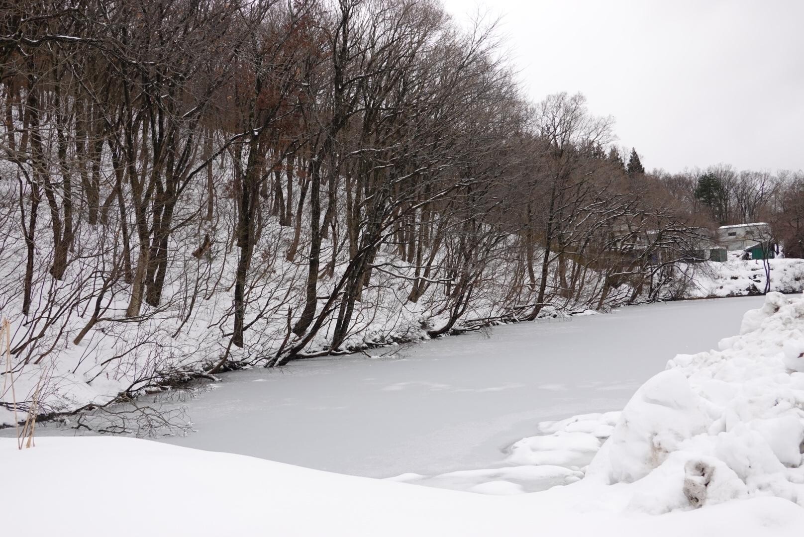 ビタル山からキゴ山ハイク / magさんのウォーキングの活動データ | YAMAP / ヤマップ