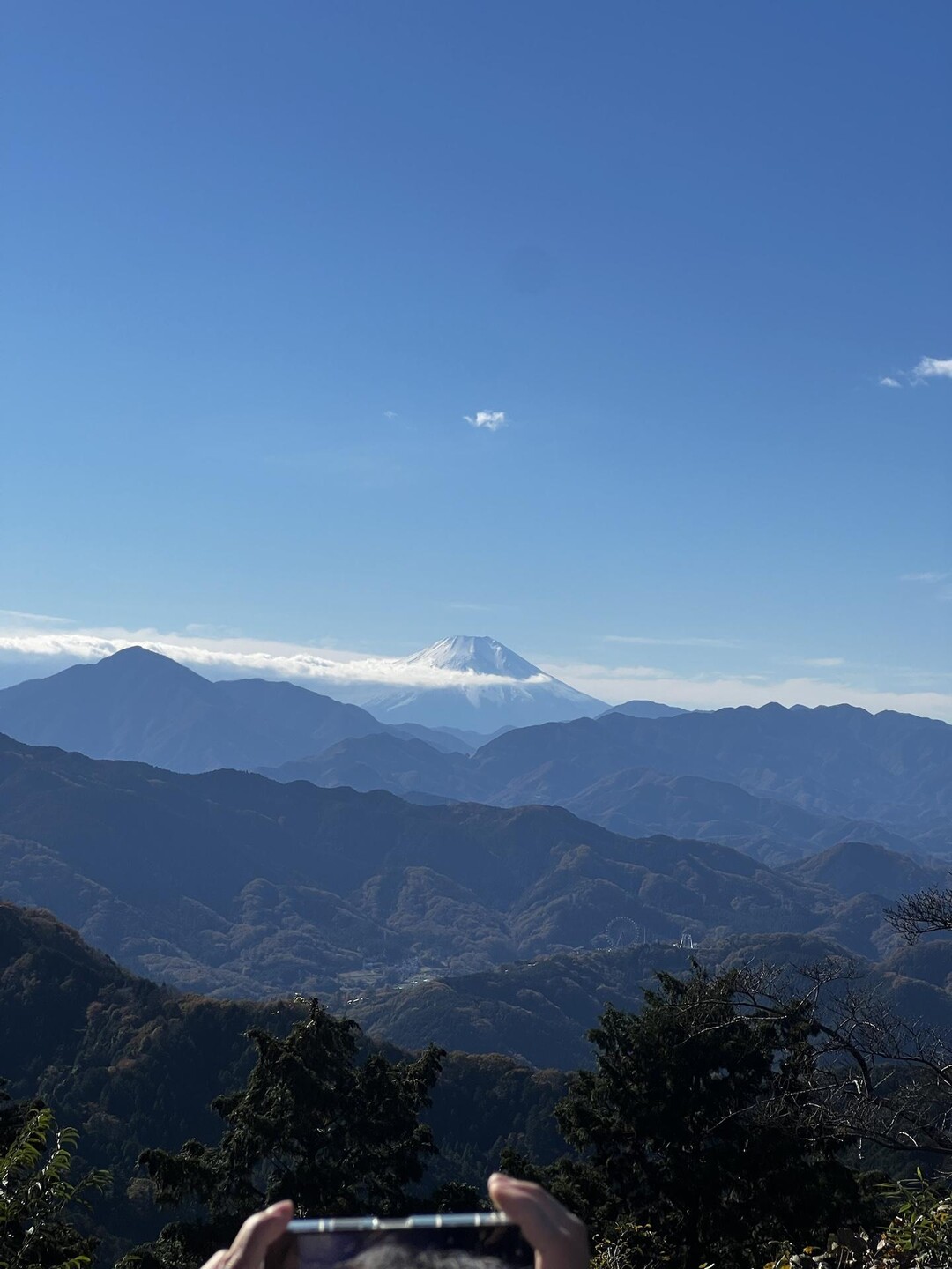 秋の高尾山6号路-2024-11-23 / S.OSさんのウォーキングの活動データ | YAMAP / ヤマップ