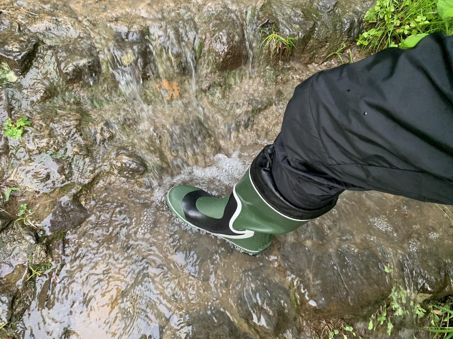 台風後の飯野山 / muddy329さんのウォーキングの活動データ | YAMAP / ヤマップ