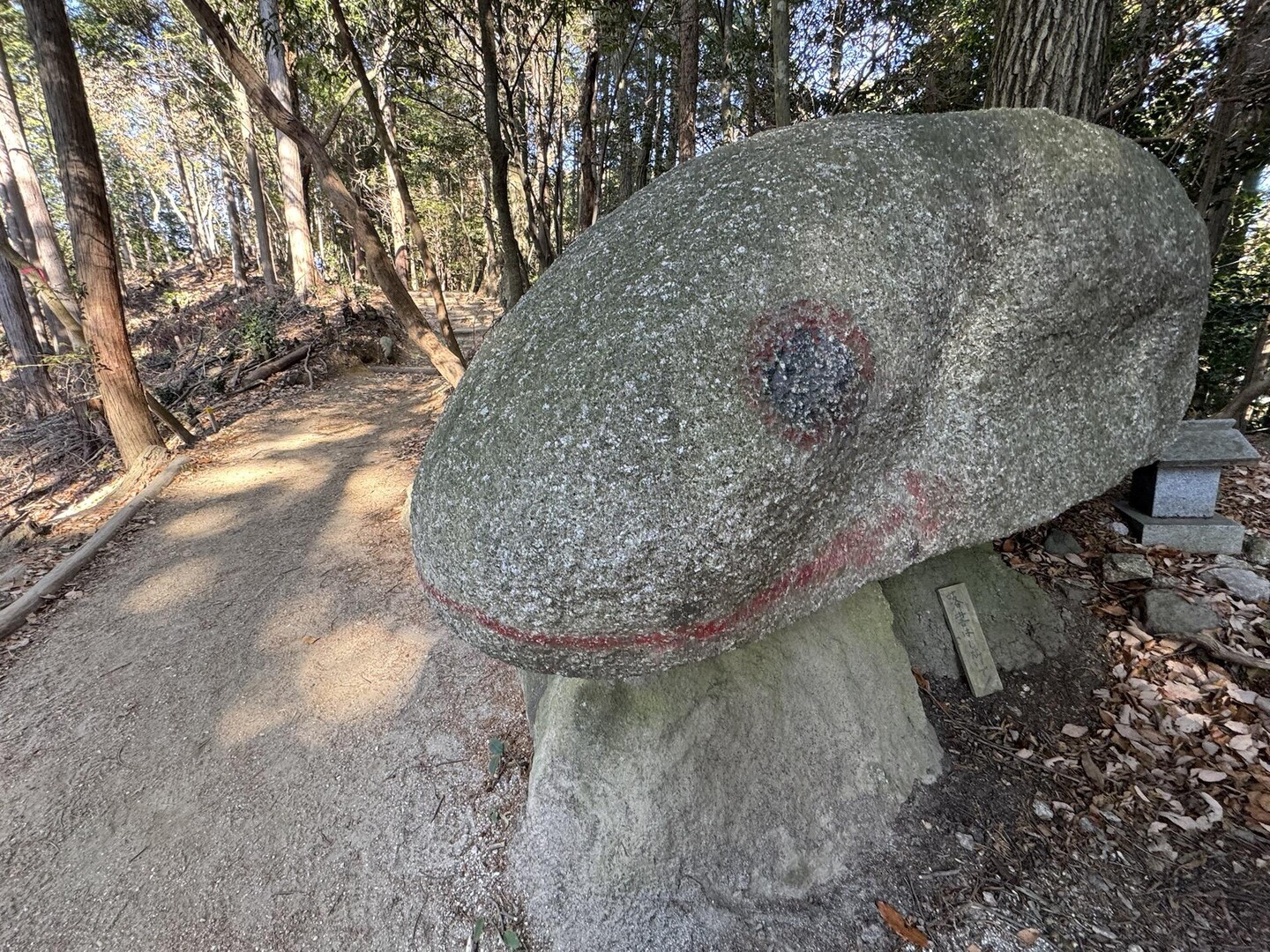 猿投山 / syanさんの猿投山・物見山の活動日記 | YAMAP / ヤマップ