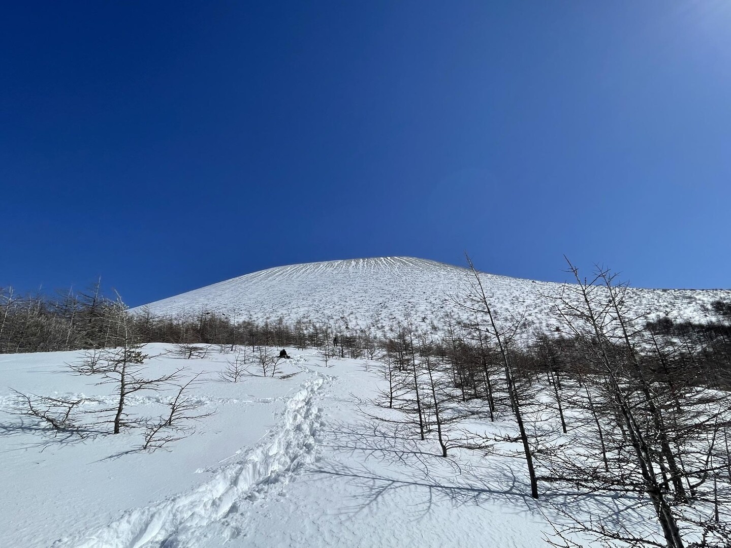 浅間山(前掛山) 撤退 / kick x3さんの浅間山・黒斑山・篭ノ登山の活動データ | YAMAP / ヤマップ