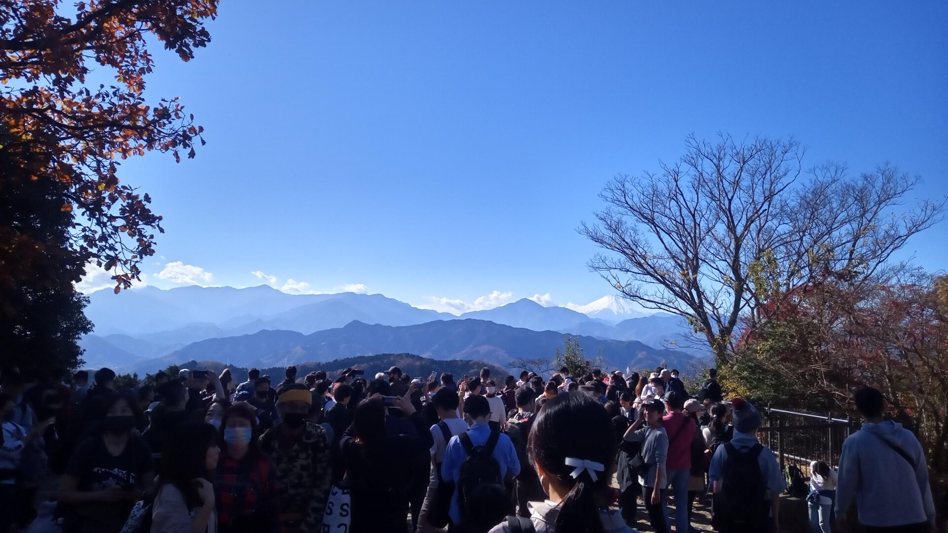 2022-11-27高尾山 599m / imatuさんのウォーキングの活動データ | YAMAP / ヤマップ