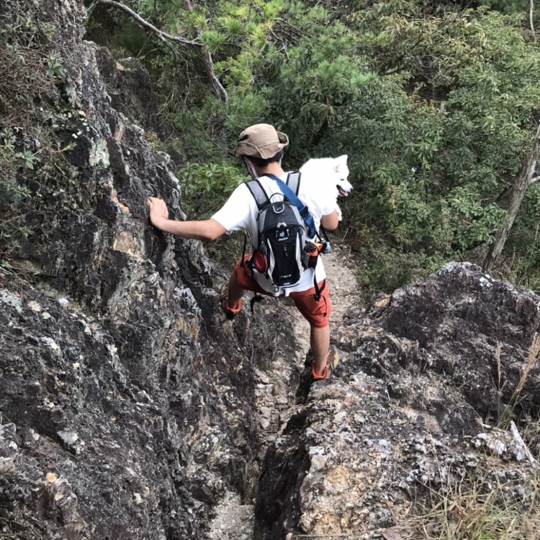 とーちゃん絶対離すなよぉ〜 岩場って楽し... / issa.さんのモーメント | YAMAP / ヤマップ