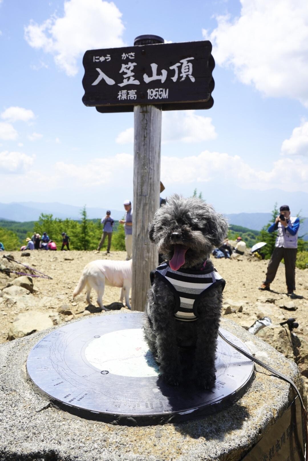 アカノラ山・入笠山 / SATOMIさんの入笠山の活動データ | YAMAP / ヤマップ
