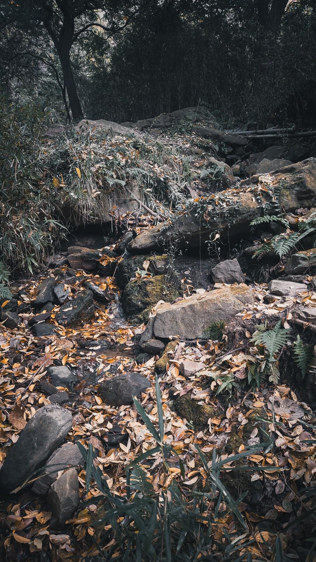 宝篋山・富岡山 / su-taku⛰さんの宝篋山・富岡山の活動データ | YAMAP / ヤマップ