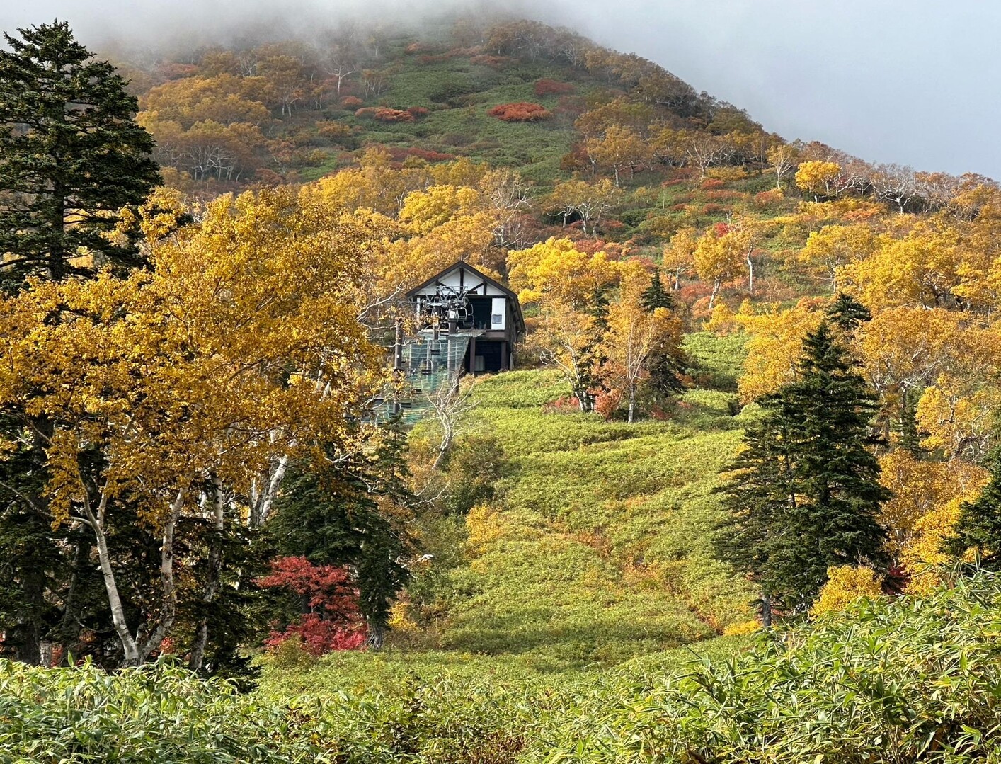 黒岳・桂月岳 黒岳駅5合目～ / TUTAさんの大雪山系・旭岳・トムラウシの活動データ | YAMAP / ヤマップ