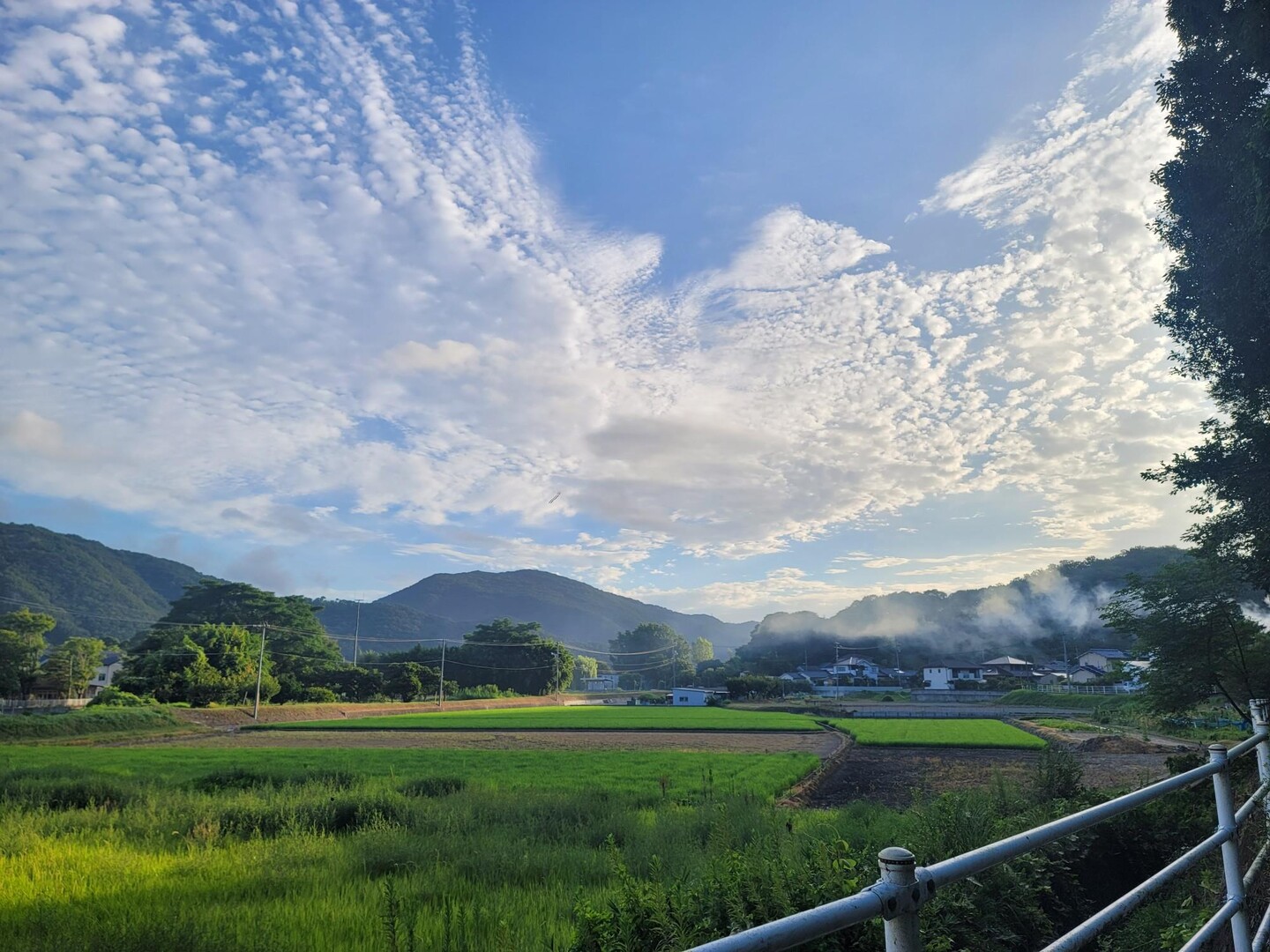 龍ノ口山 ～朝の頂上は最高🌞 ～ / awaさんの龍ノ口山の活動データ | YAMAP / ヤマップ