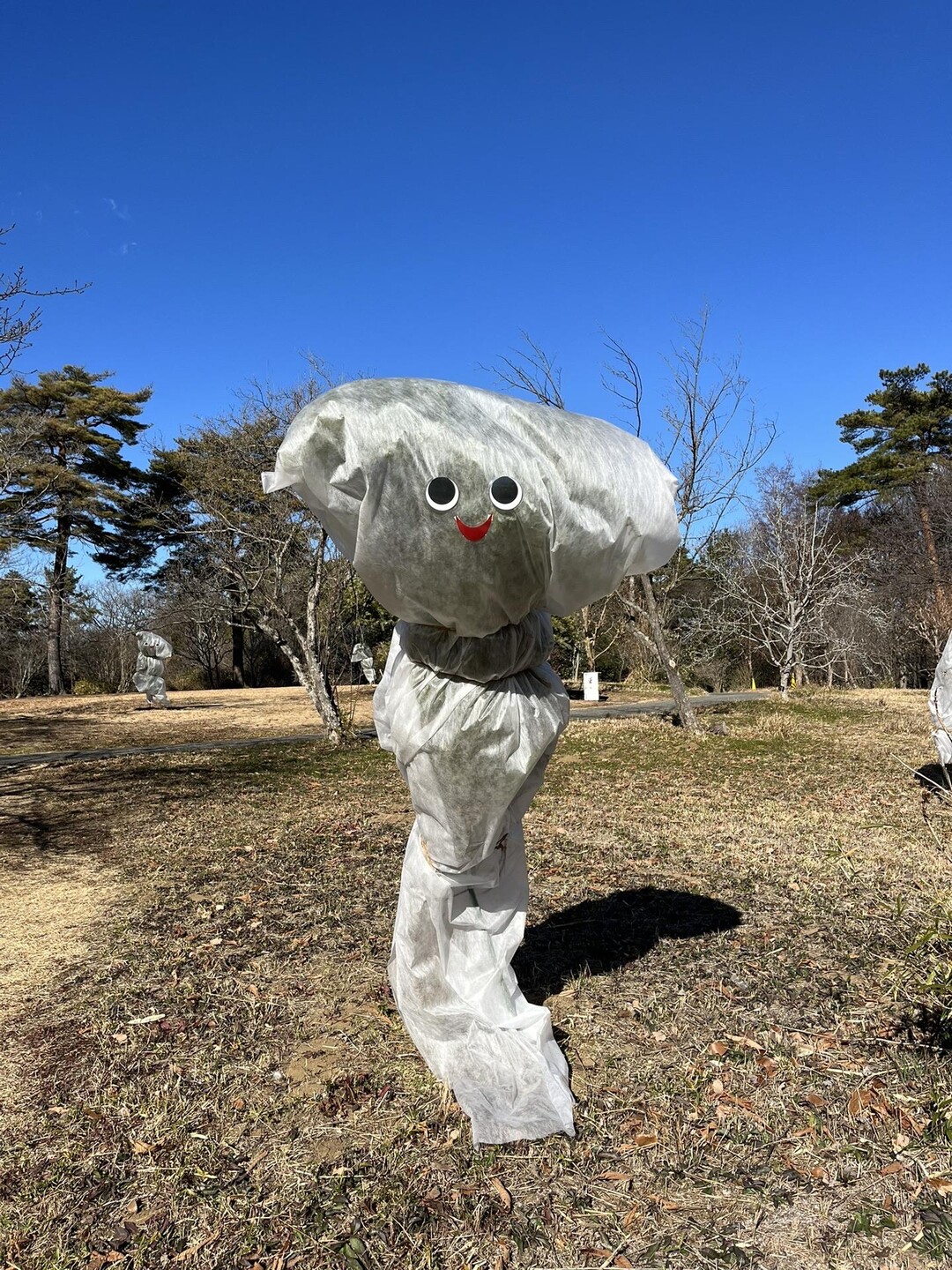 国営武蔵丘陵森林公園 / おのきょうPHさんの熊谷市の活動データ | YAMAP / ヤマップ