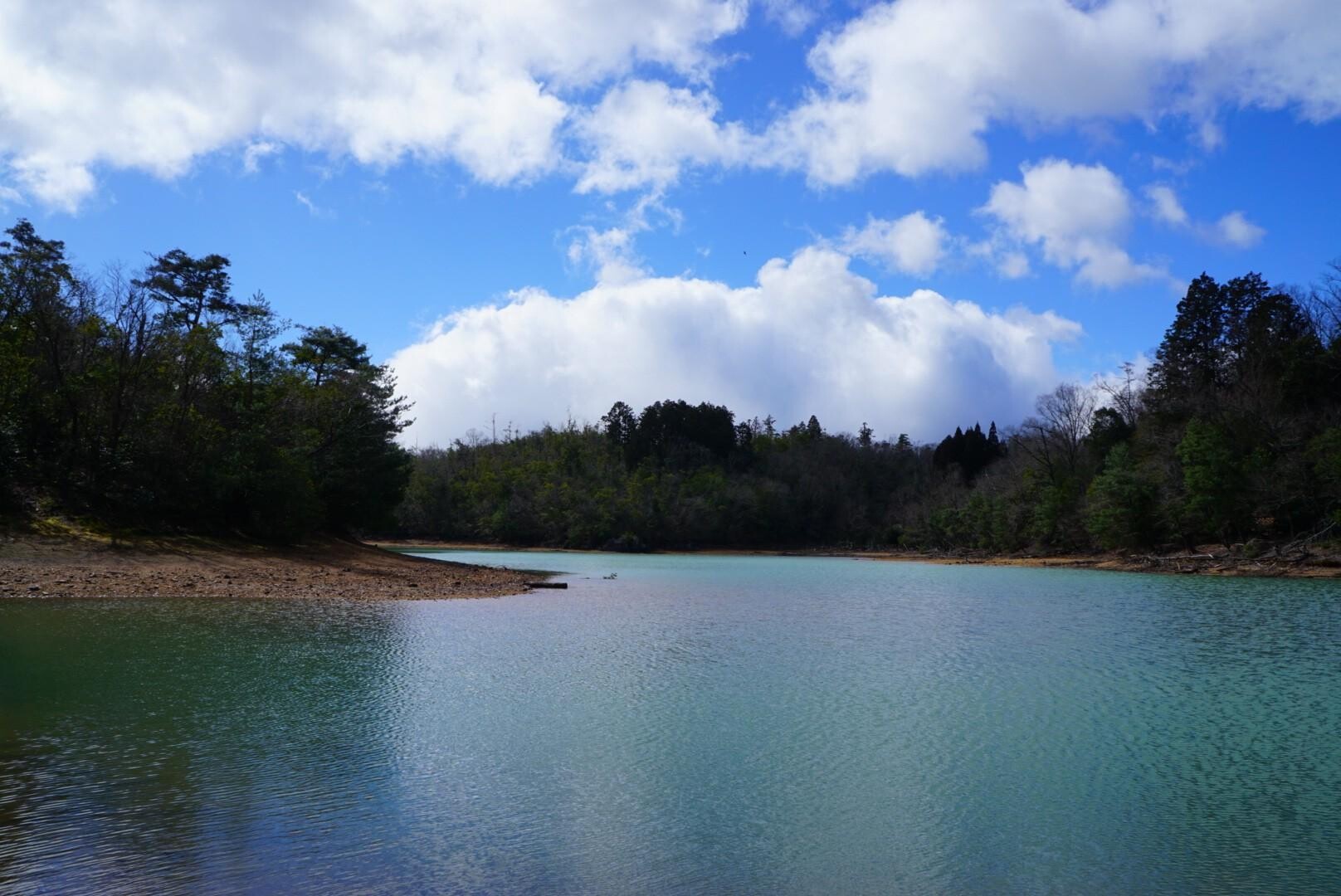 京都一周トレイル 上ノ水峠秋季迂回路〜清滝 ※スマホバッテリー切れのためデータは参考になりません🙇 / Zen Kooさんの登山の活動データ | YAMAP / ヤマップ