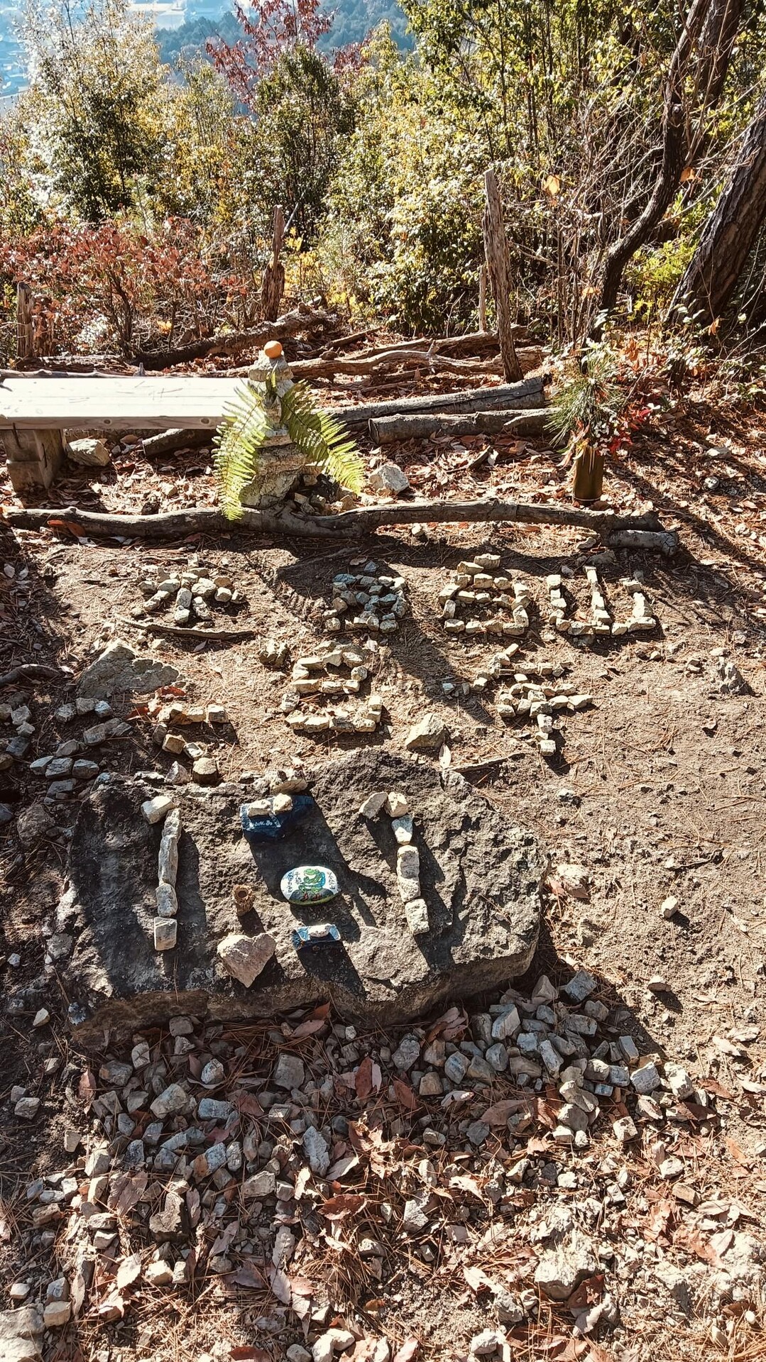 元旦登山 米田白山 / doalaさんの米田白山の活動データ | YAMAP / ヤマップ