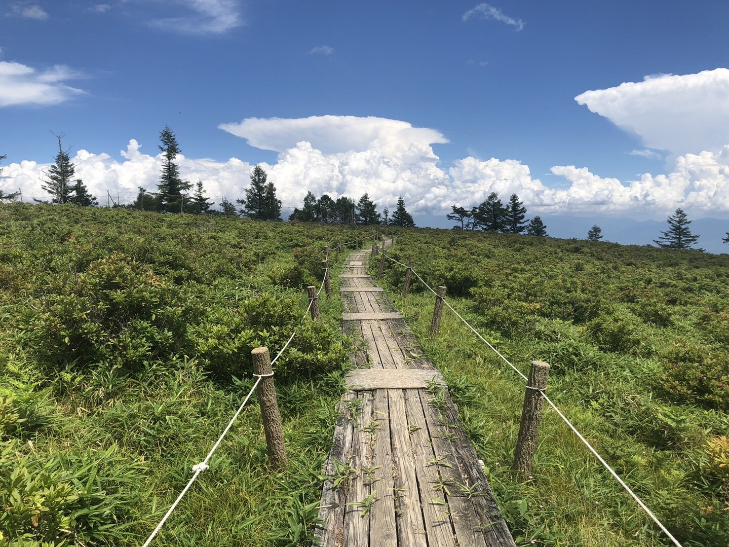 ウォーキング-2020-08-12 / karuさんのウォーキングの活動データ | YAMAP / ヤマップ