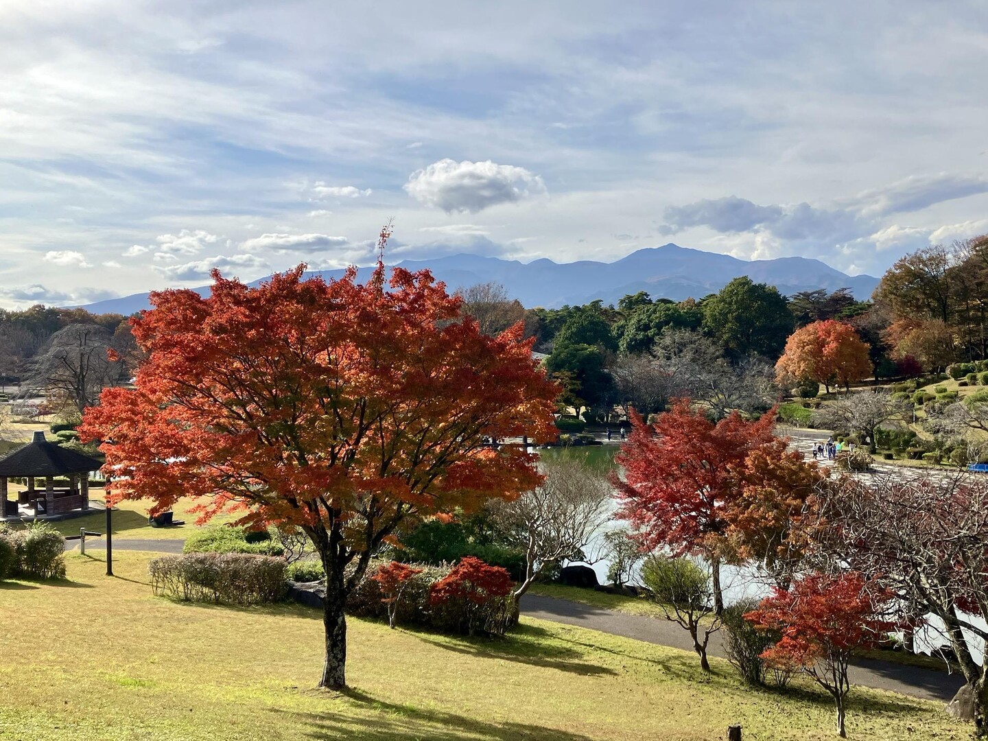 今日は紅葉の那須野が原公園・千本松牧場で... / ZSYさんのモーメント | YAMAP / ヤマップ