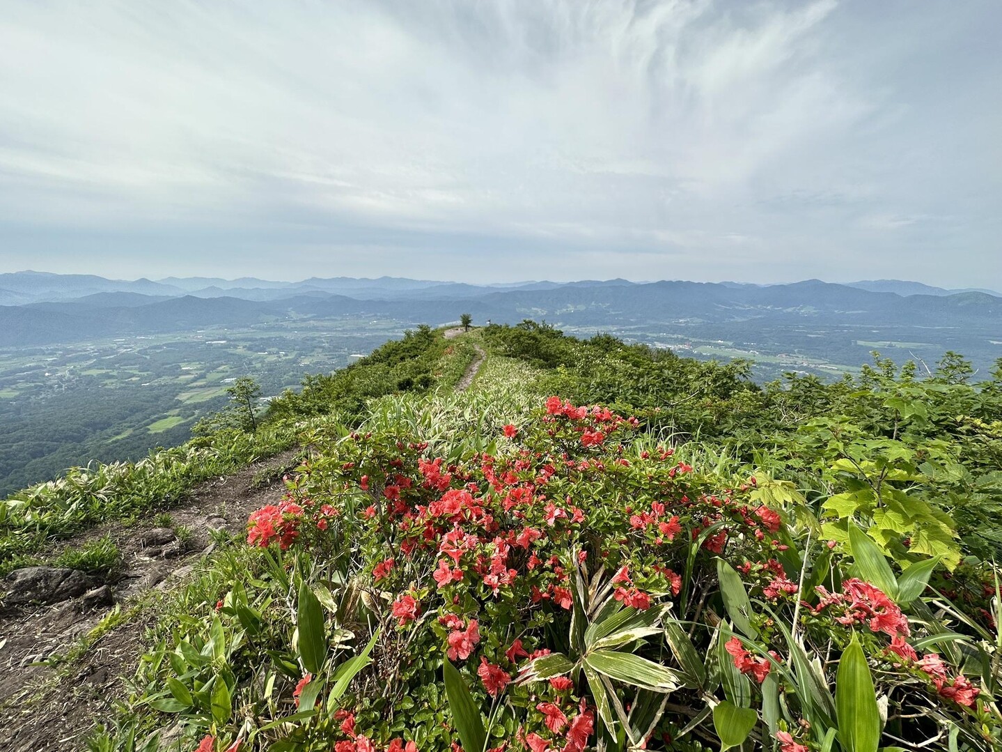 蒜山縦走-2023-06-18 / one!one!one!さんの蒜山の活動データ | YAMAP / ヤマップ