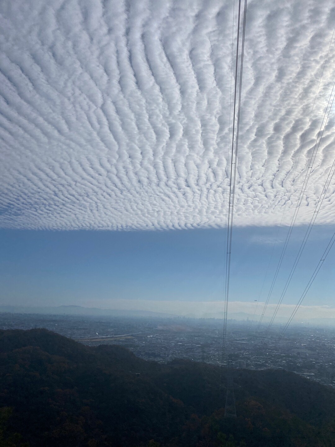 STM 六甲山～箕面 / えれだいさんの六甲山・長峰山・摩耶山の活動データ | YAMAP / ヤマップ